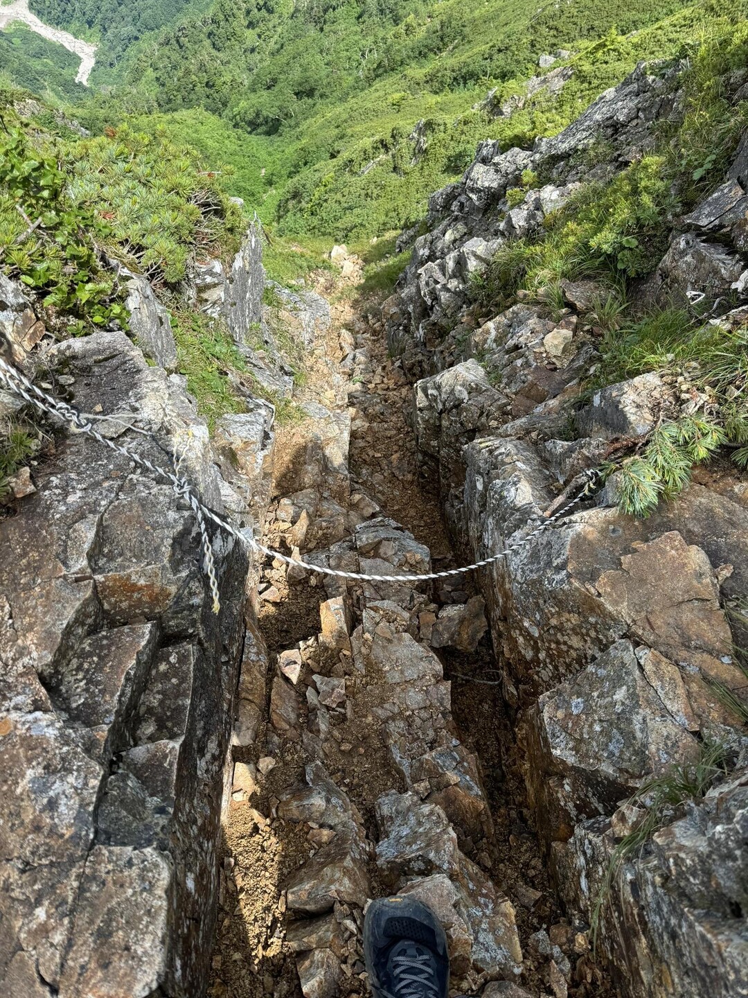 nan-cさんの投稿したフィールドメモ | YAMAP / ヤマップ