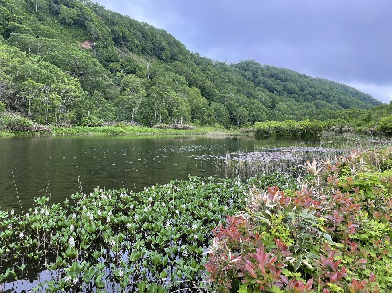 積丹半島南部-2023-06-15 / chanaさんの積丹半島南部の活動データ | YAMAP / ヤマップ