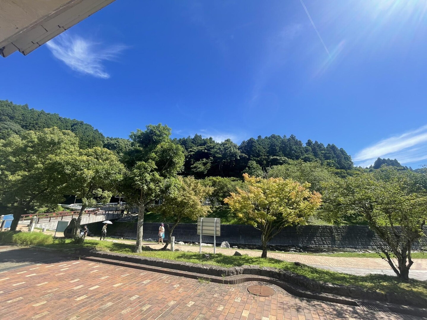 竜岩クライミング / さとちゃん(iotan)さんの大根地山の活動日記 | YAMAP / ヤマップ