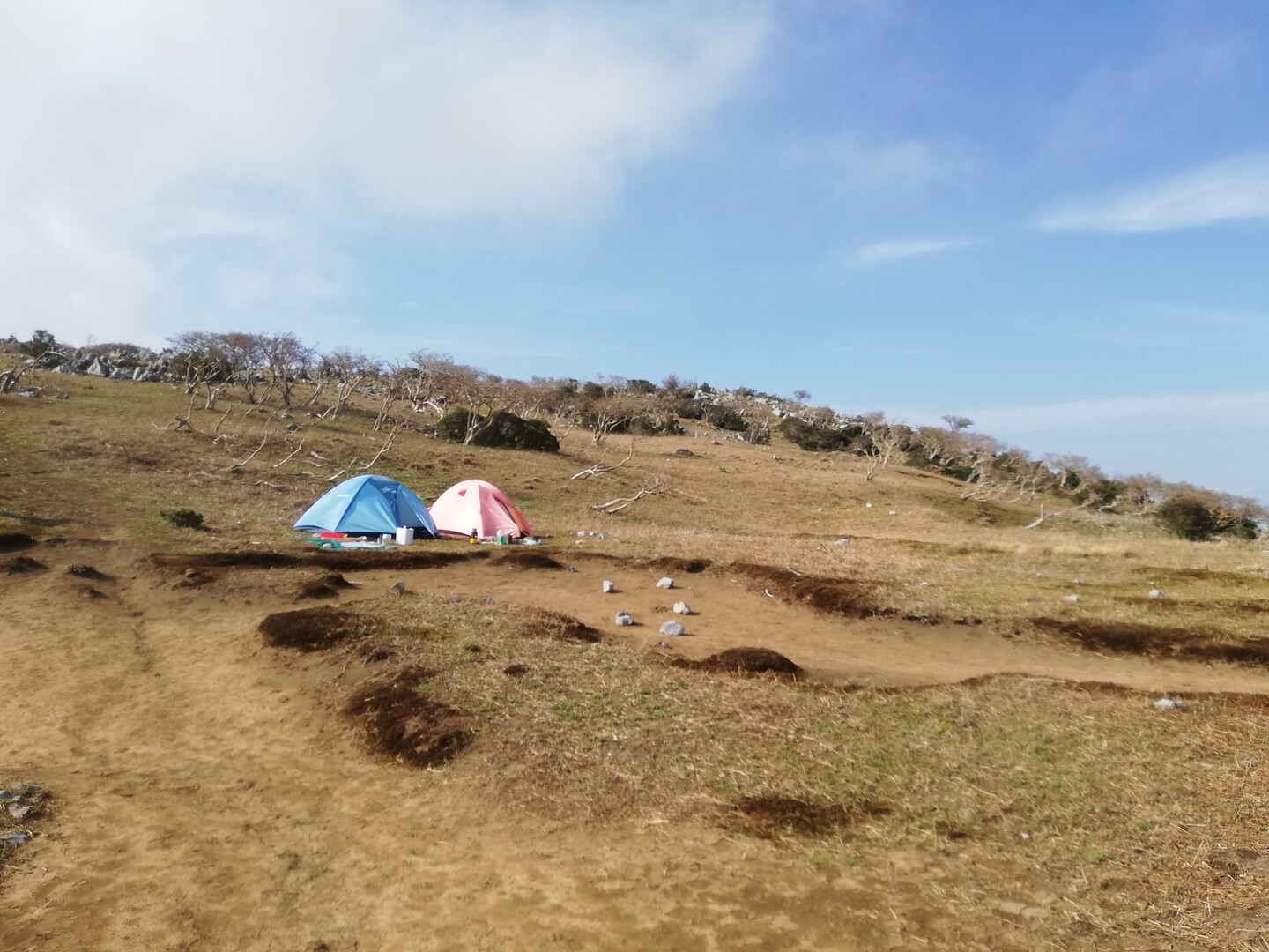 1泊2日⛺テント泊🏔藤原岳 登山 / GNMTさんの藤原岳・御池岳の活動データ | YAMAP / ヤマップ