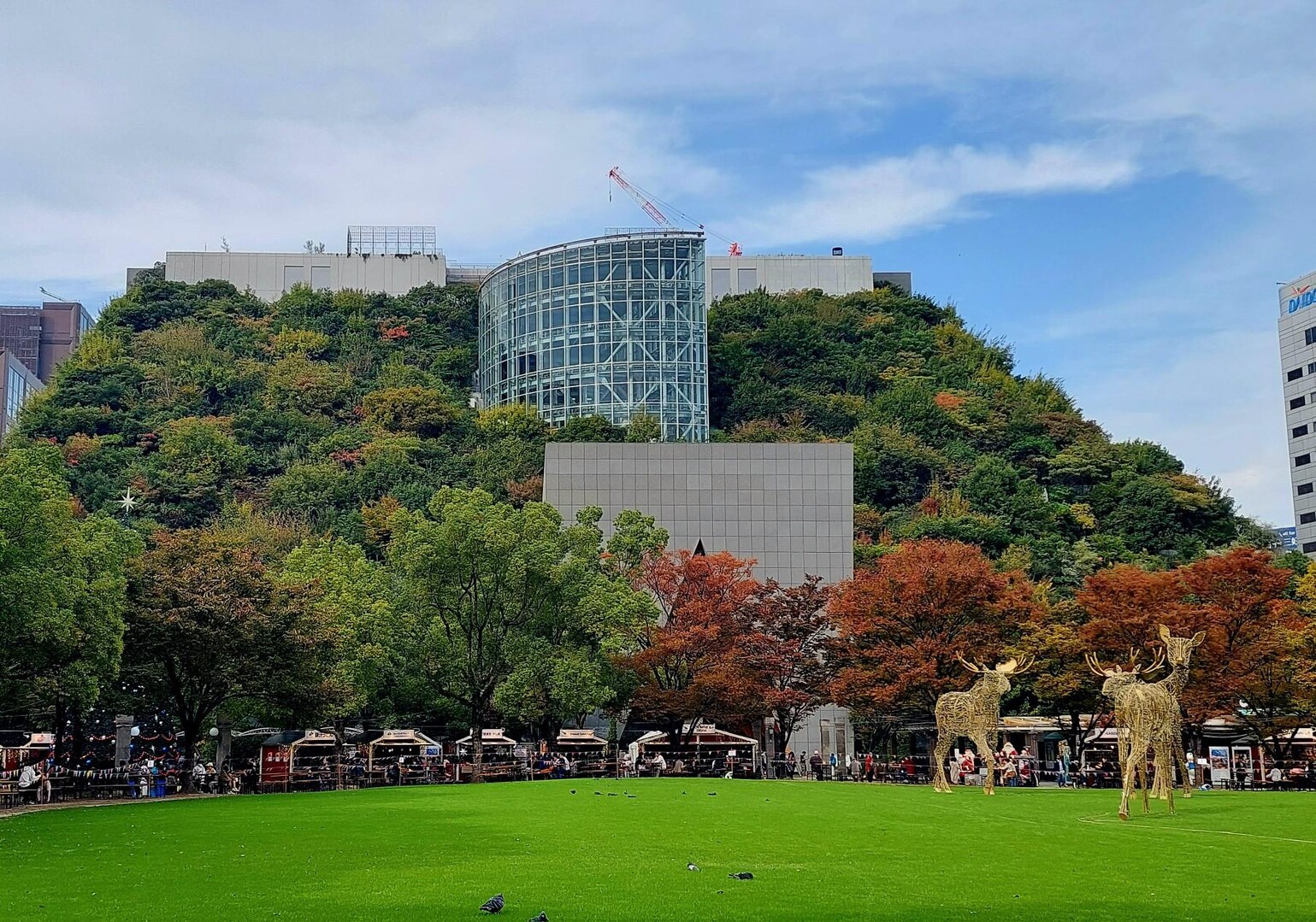 アクロス山 / chizuさんのウォーキングの活動データ | YAMAP / ヤマップ