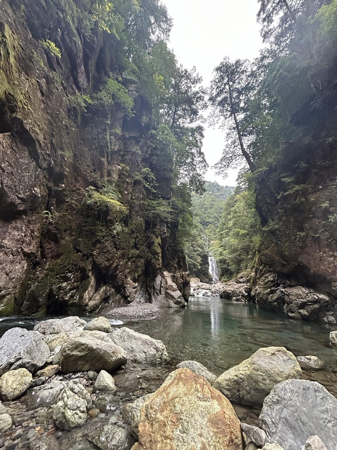 大杉谷 大台ヶ原山（日出ヶ岳） / yamacchiさんの大台ヶ原山・日出ヶ岳・大杉谷の活動データ | YAMAP / ヤマップ