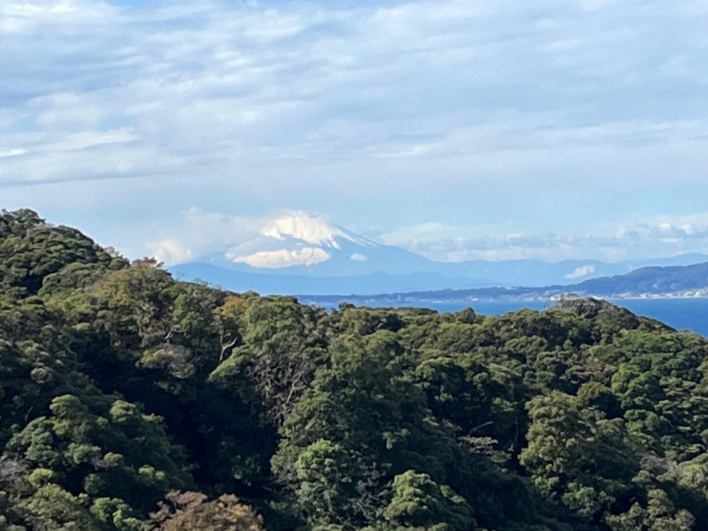 鋸山 / genさんの鋸山の活動データ | YAMAP / ヤマップ