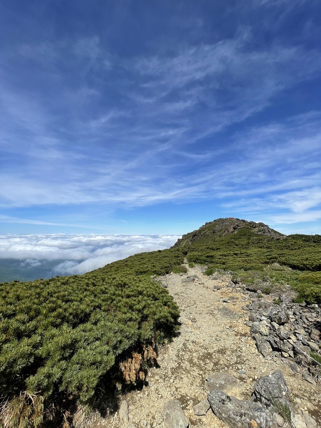 早池峰山 小田越コース / akmt.tttさんの早池峰山・薬師岳・鶏頭山の活動データ | YAMAP / ヤマップ