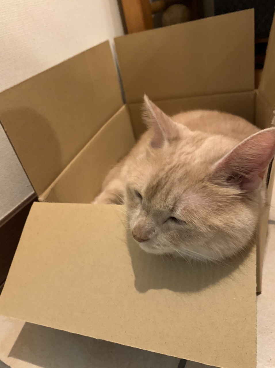 tkgのページ | YAMAP / ヤマップ