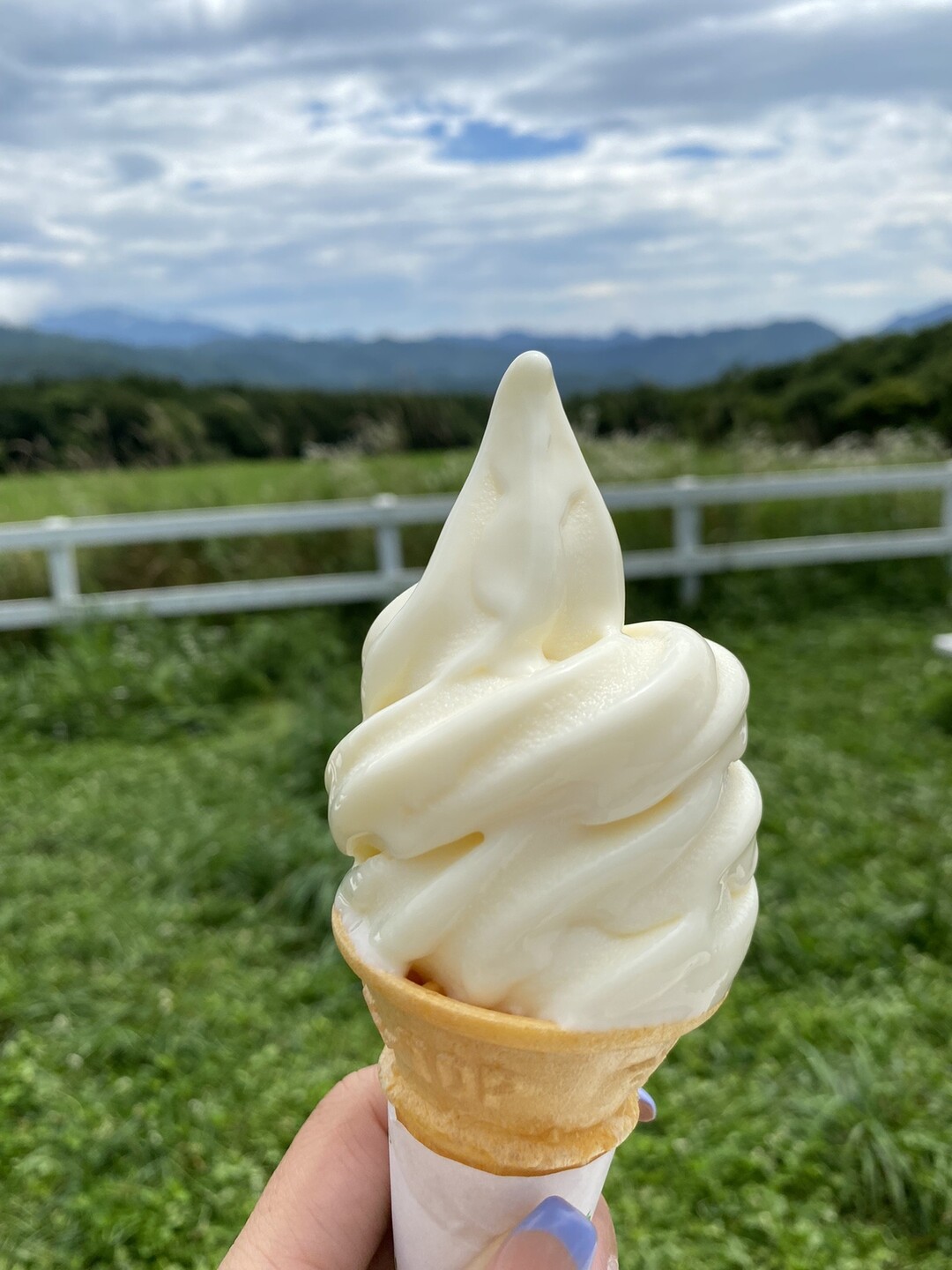 清泉寮🍦 うどんに釣り堀🎣 F... / Nmamaさんのモーメント | YAMAP / ヤマップ