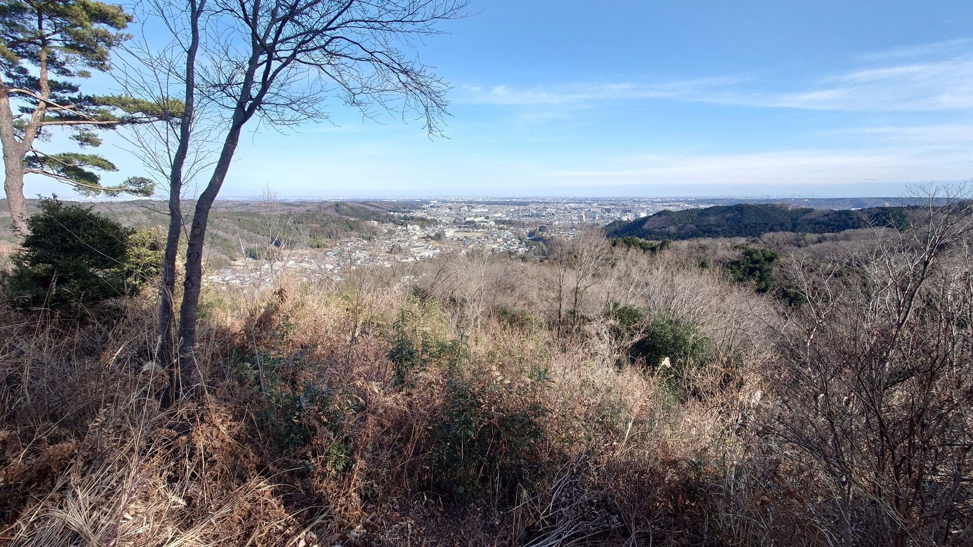 燧山・龍崖山・夕日山・朝日山 / tutuさんの加治丘陵・七国山の活動データ | YAMAP / ヤマップ
