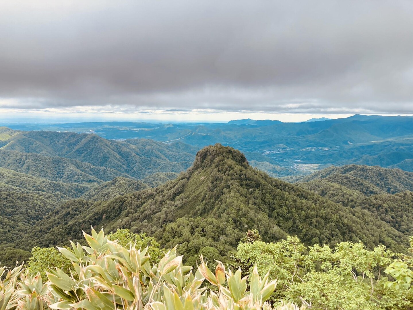 神威岳-2023-06-18 / RYUさんの神威岳の活動データ | YAMAP / ヤマップ