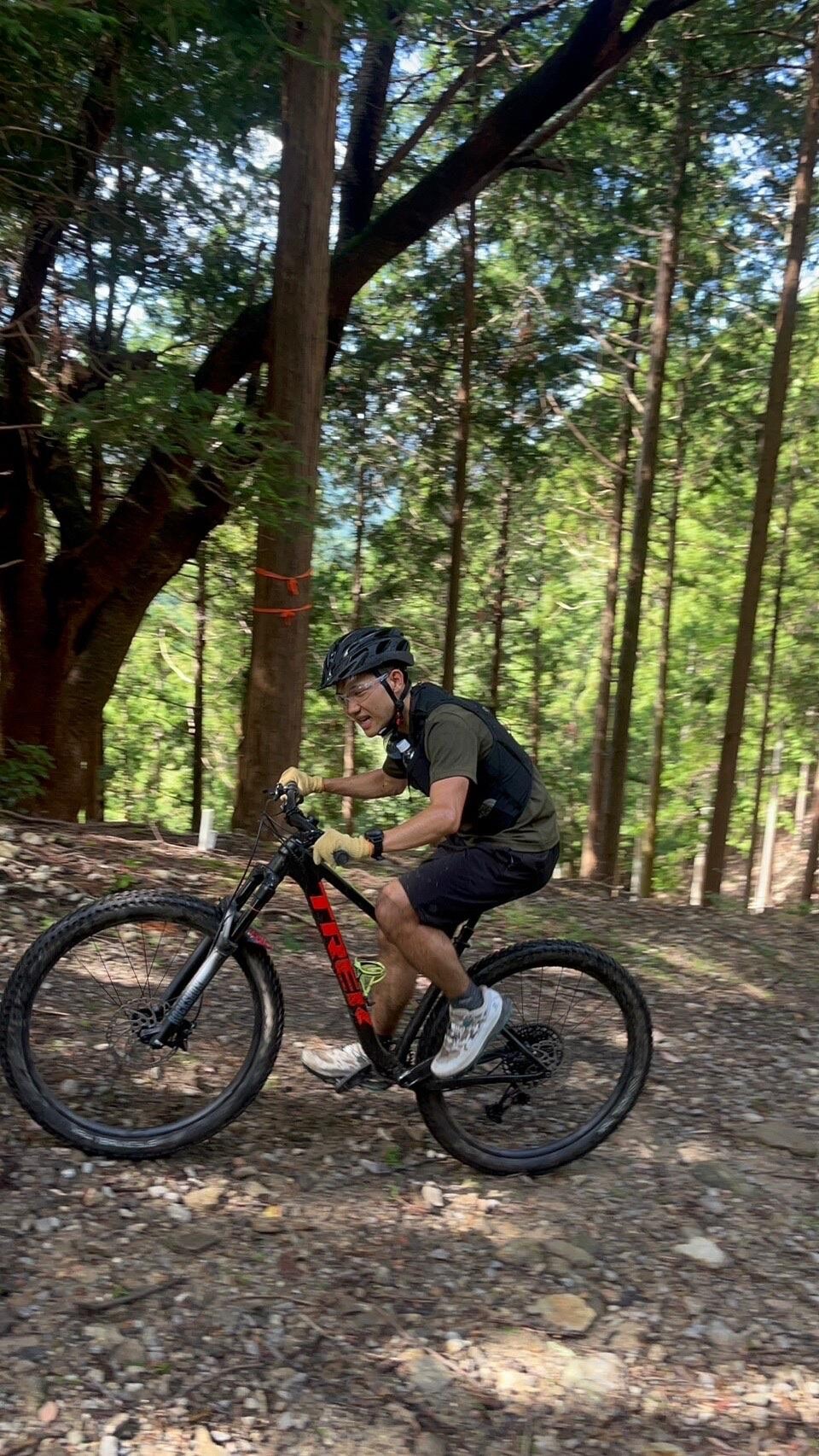 巴山 MTB / たくみさんの巴山・獅子ヶ森・文殊山の活動データ | YAMAP / ヤマップ