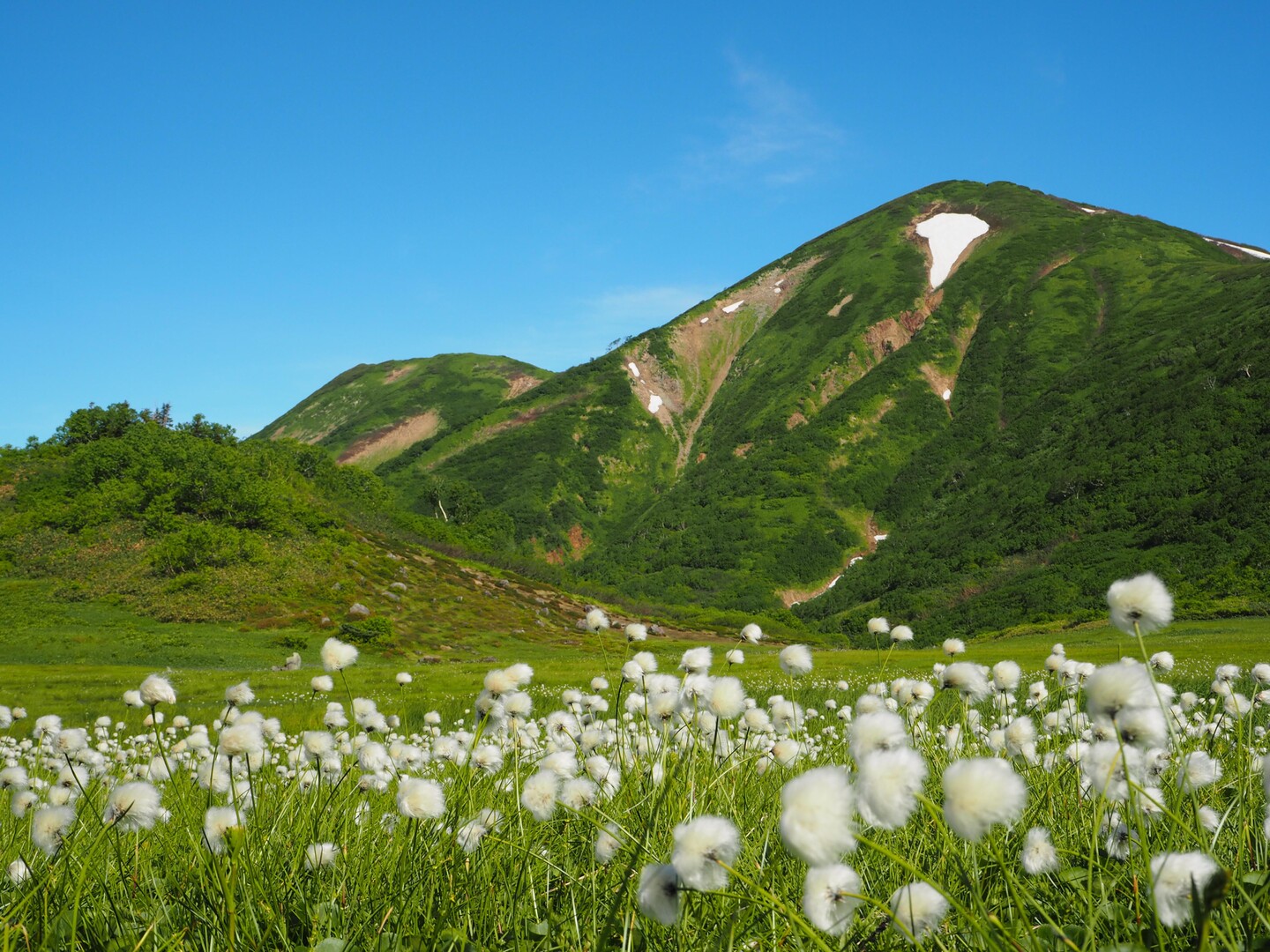 火打山・茶臼山 / mokaさんの妙高山・火打山の活動日記 | YAMAP / ヤマップ
