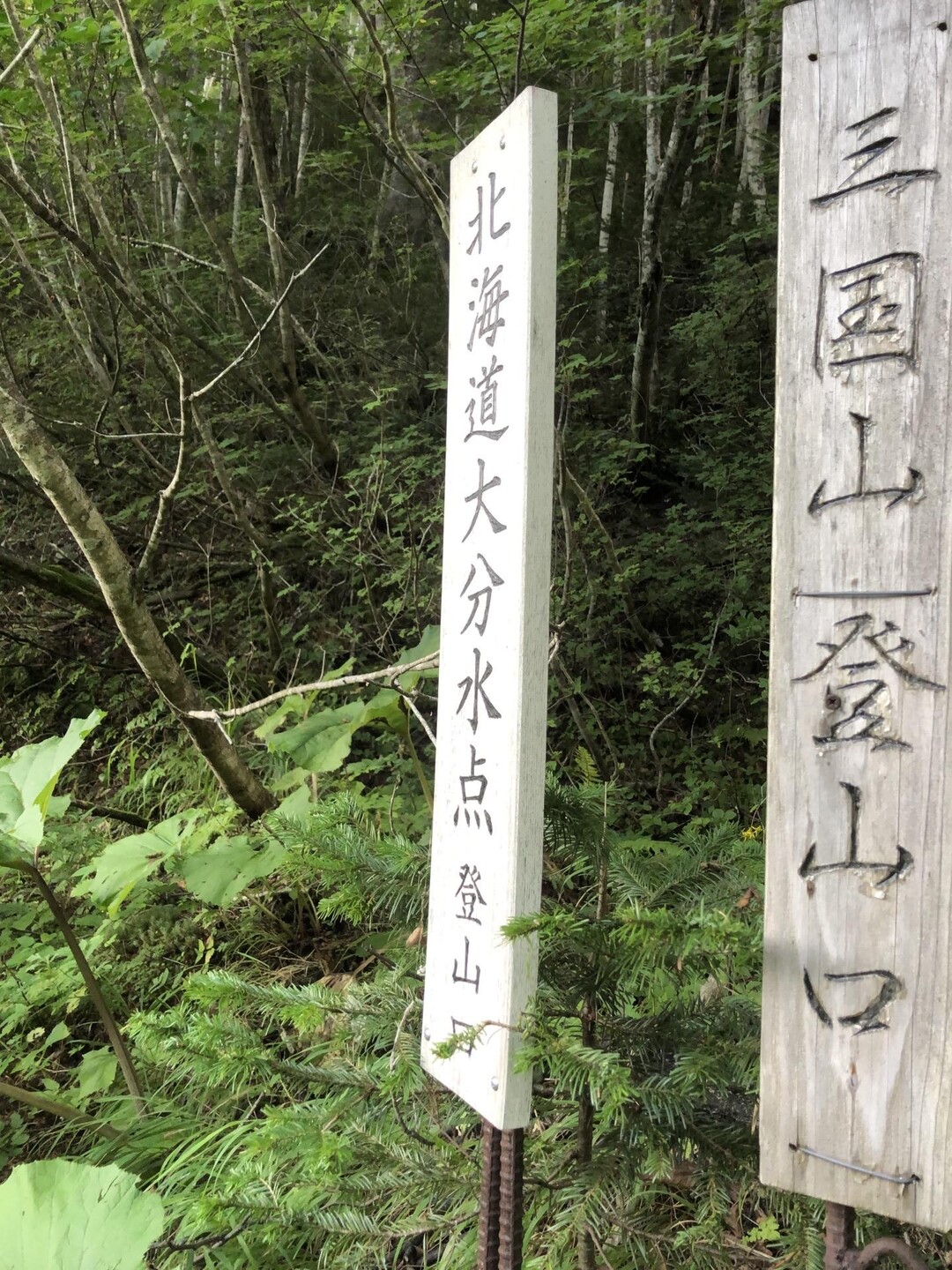 登山難民がたどり着いた三国山 / owl 🦉さんの三国山の活動データ | YAMAP / ヤマップ