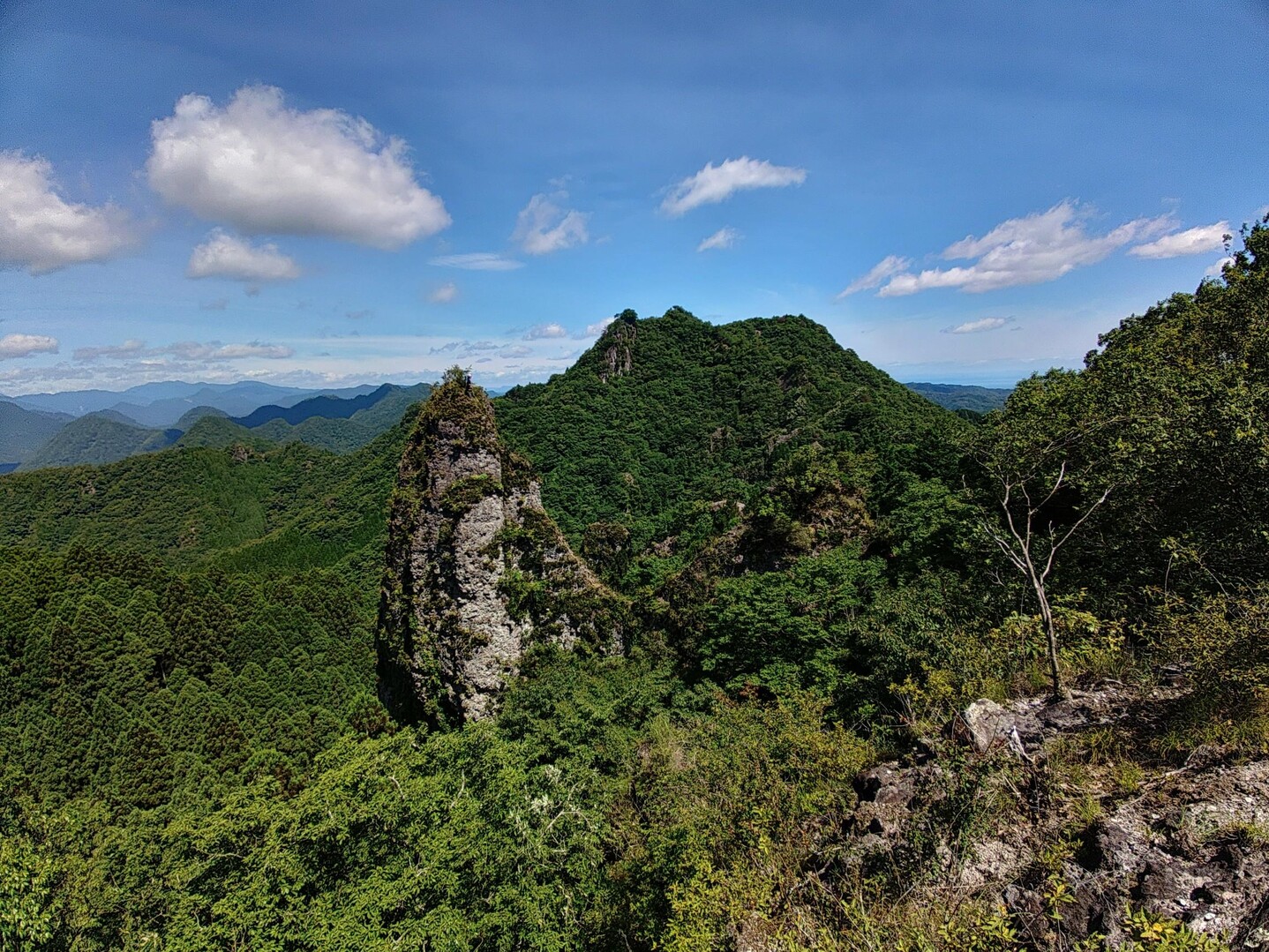 今日も山頂スルーの鹿嵐で訓練🏋️ / obrさんの鹿嵐山の活動データ | YAMAP / ヤマップ