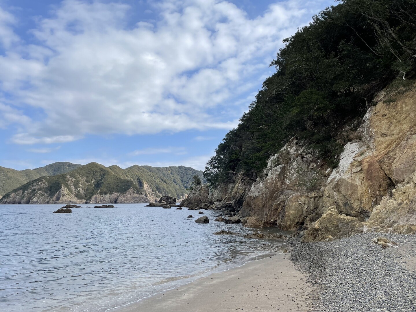 座佐の高 / hana356さんの姫越山の活動データ | YAMAP / ヤマップ