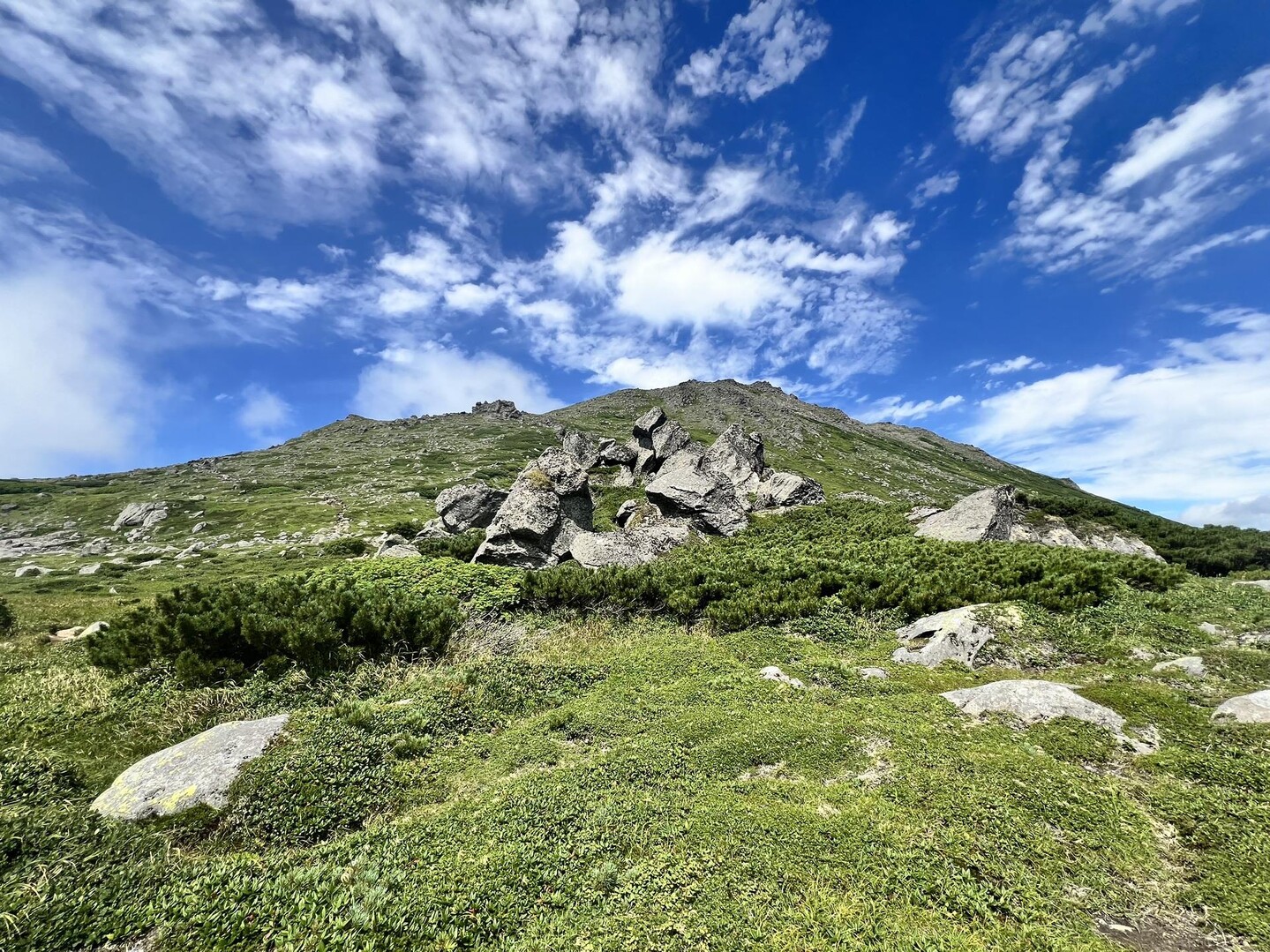 トムラウシ山 / sakiさんの大雪山系・旭岳・トムラウシの活動データ | YAMAP / ヤマップ