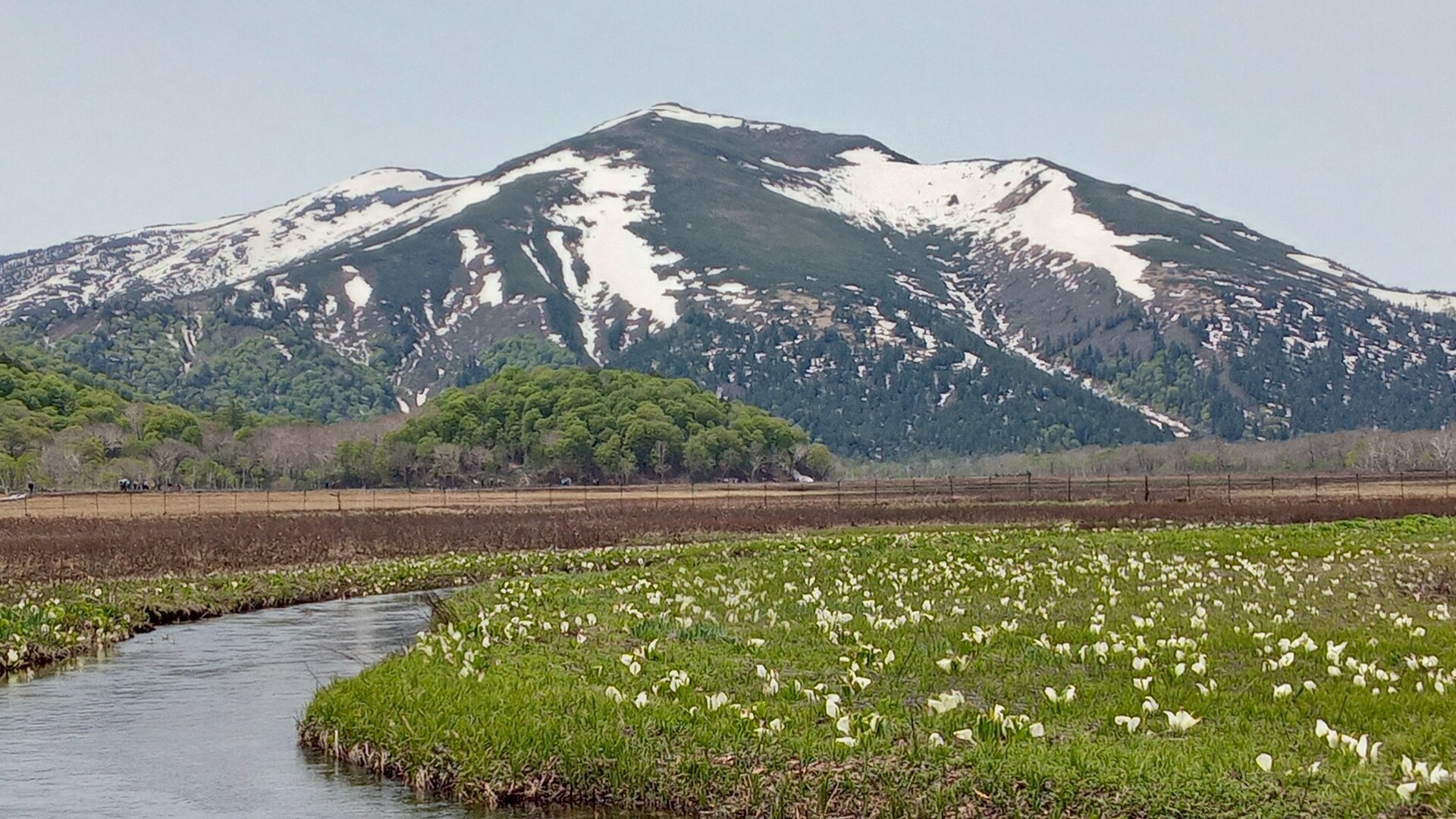 尾瀬ヶ原 / Yos 8611さんの尾瀬・燧ヶ岳の活動データ | YAMAP / ヤマップ