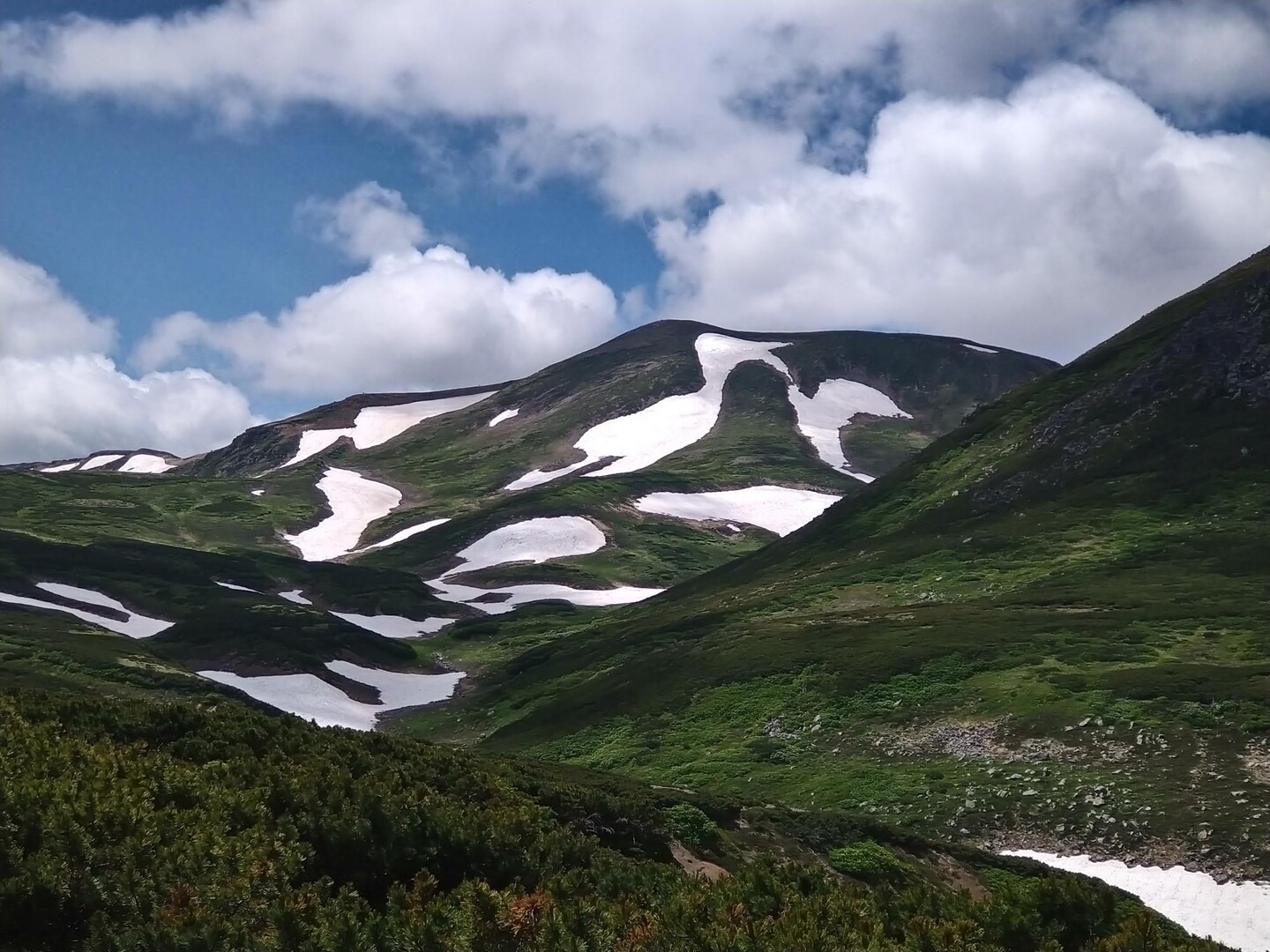 二泊三日😮‍💨大雪山縦走(初級編) / ジョウシさんのウォーキングの活動データ | YAMAP / ヤマップ