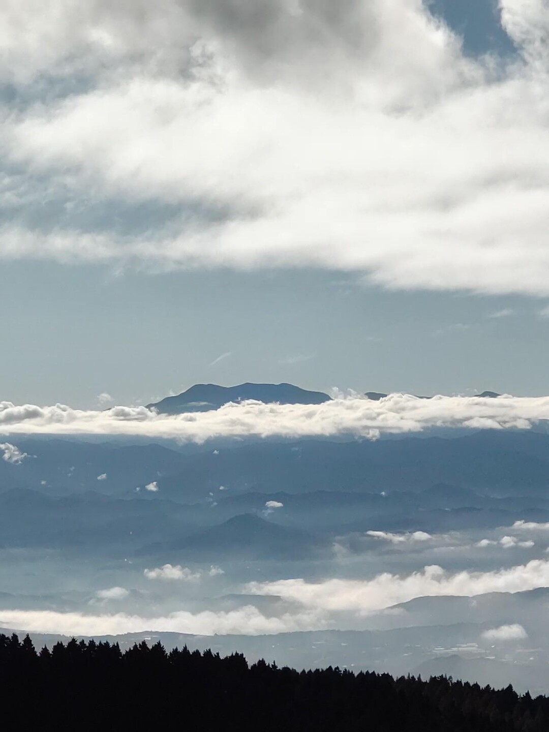 大和葛城山 / T64さんの金剛山・二上山・大和葛城山の活動データ | YAMAP / ヤマップ