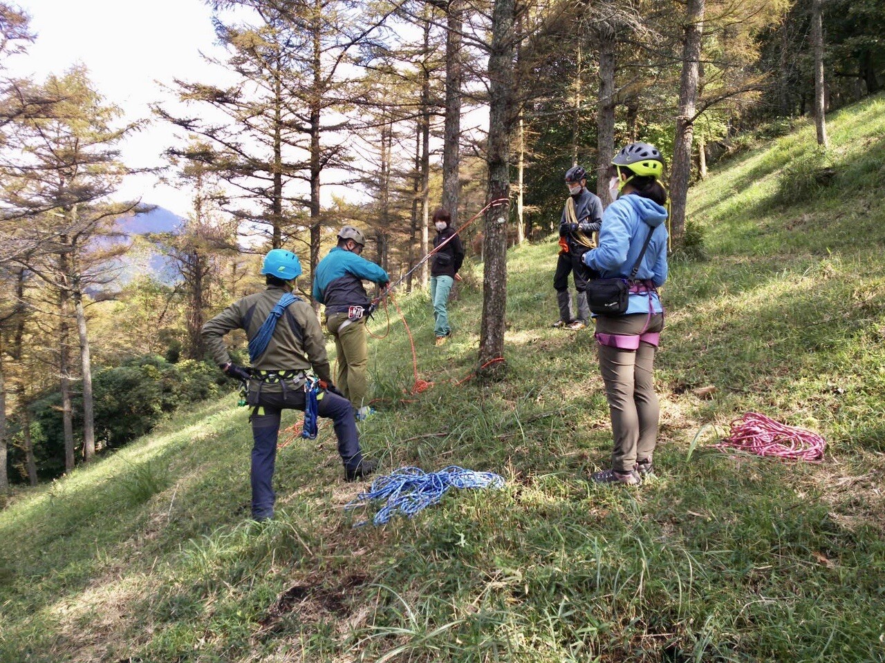 KNGC…🍁由布岳で実践講座🐶 / グリンさんの由布岳・鶴見岳の活動データ | YAMAP / ヤマップ