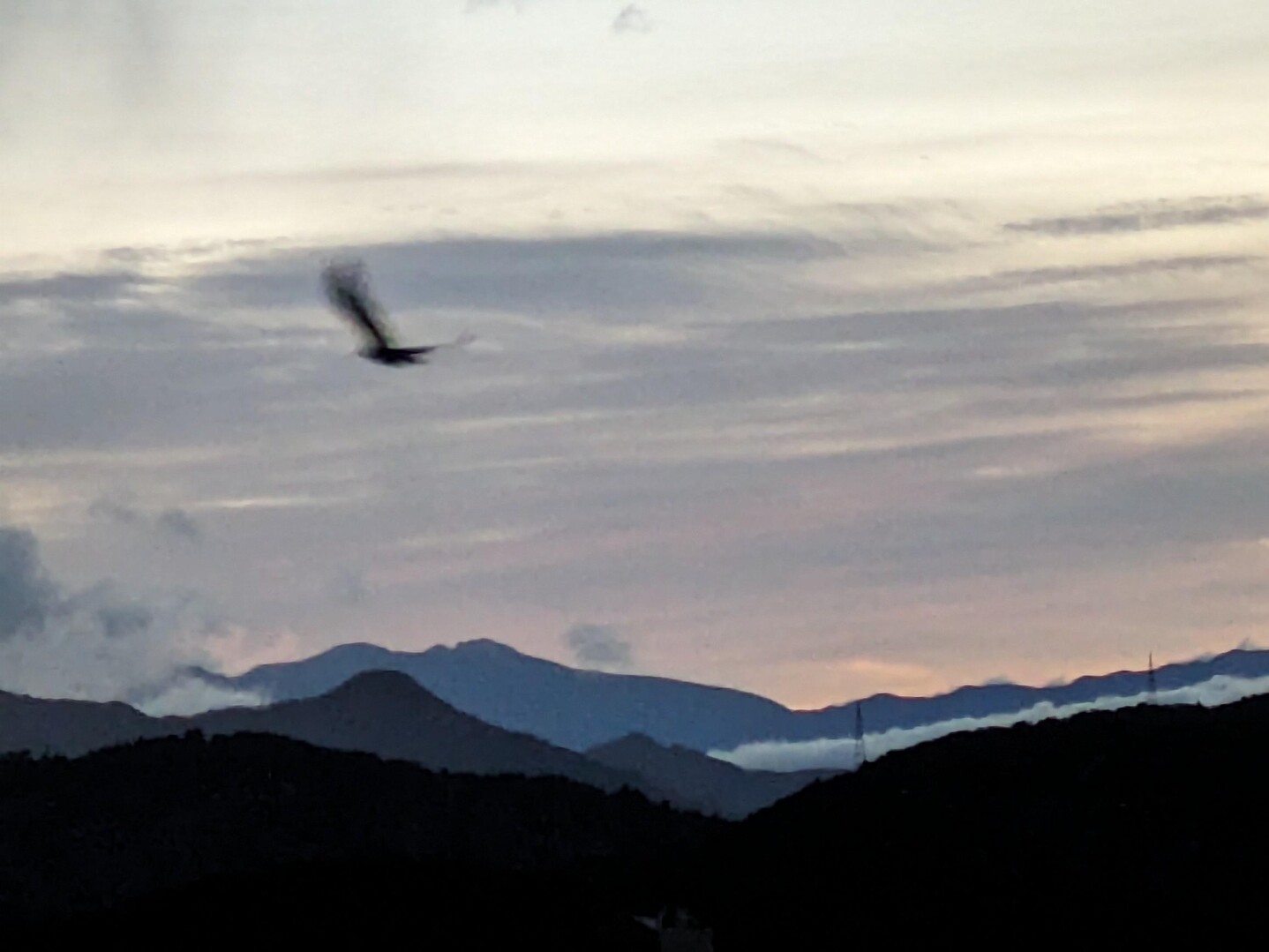 曇り☁空だけど、今朝はお山がくっきり ... / kecoさんのモーメント | YAMAP / ヤマップ