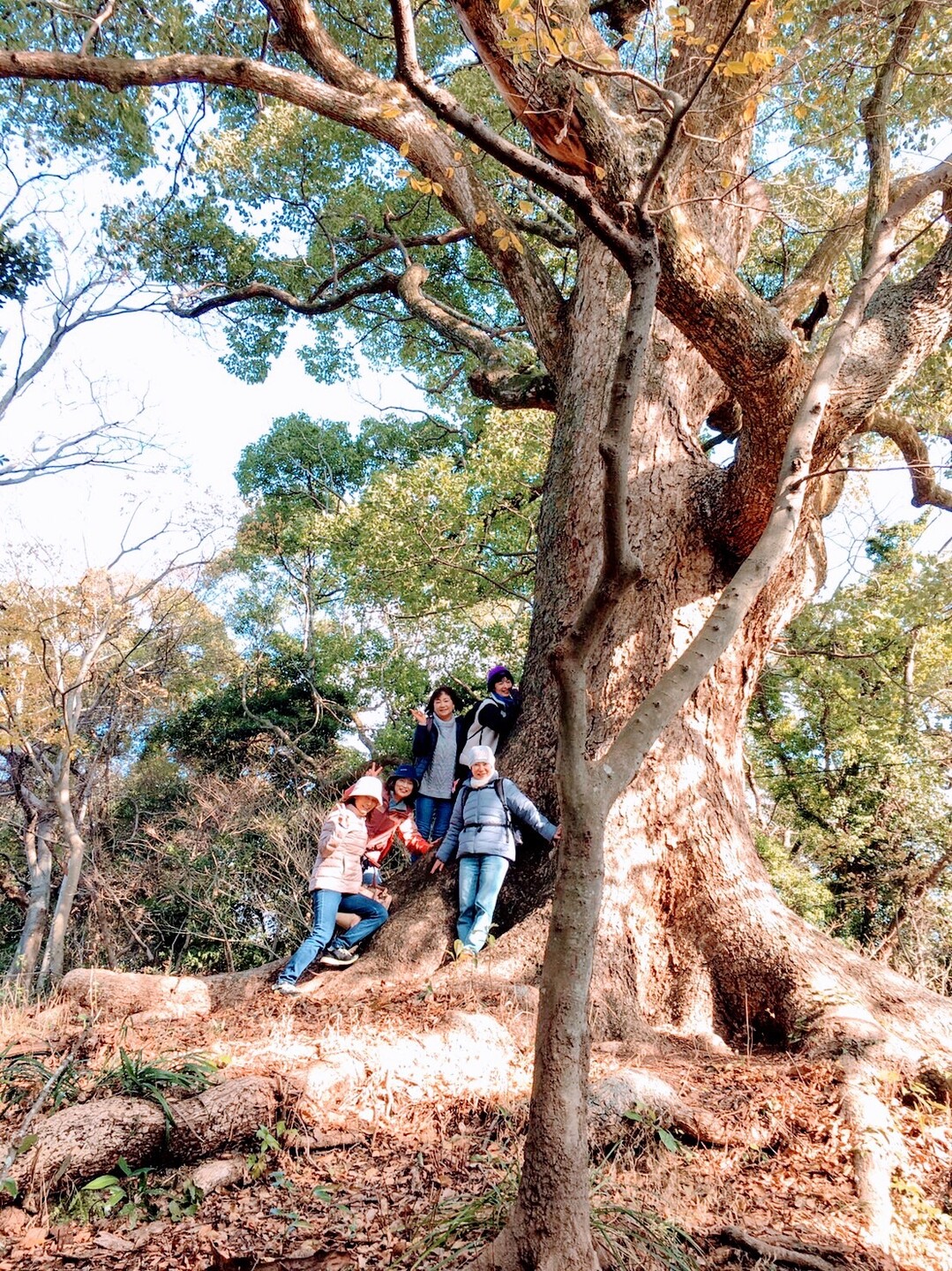 walkingでリハビリ part4 元宇品2021-12-25 / ふみさんの広島市の活動データ | YAMAP / ヤマップ