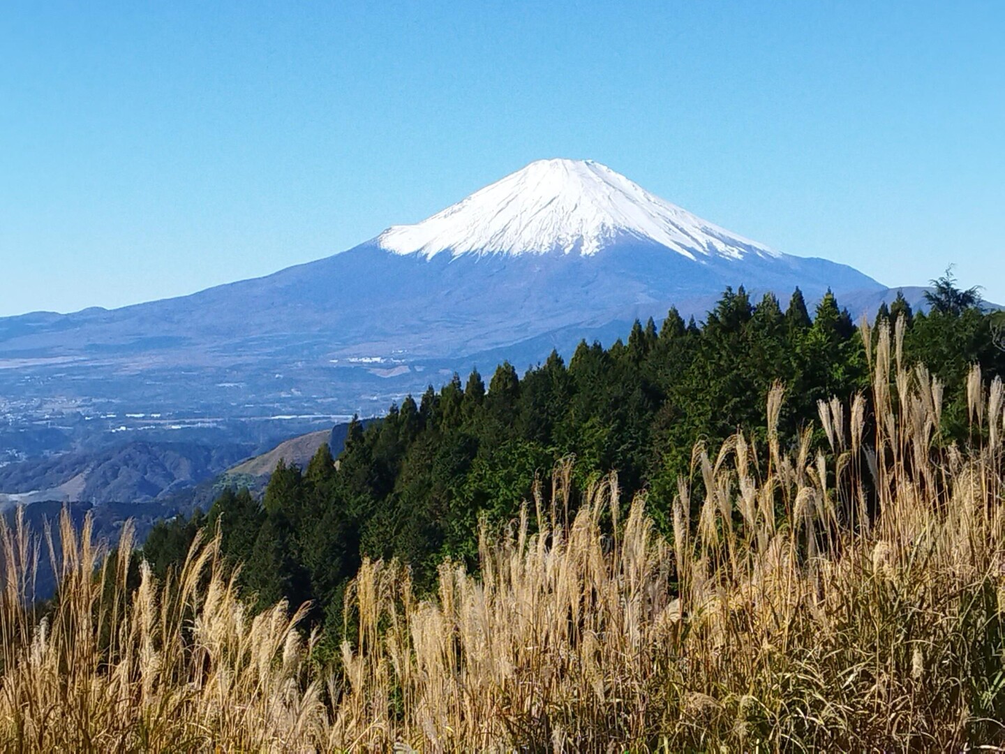 太尾山・高松山 / kuma3016さんの塔ノ岳・丹沢山・蛭ヶ岳の活動データ | YAMAP / ヤマップ