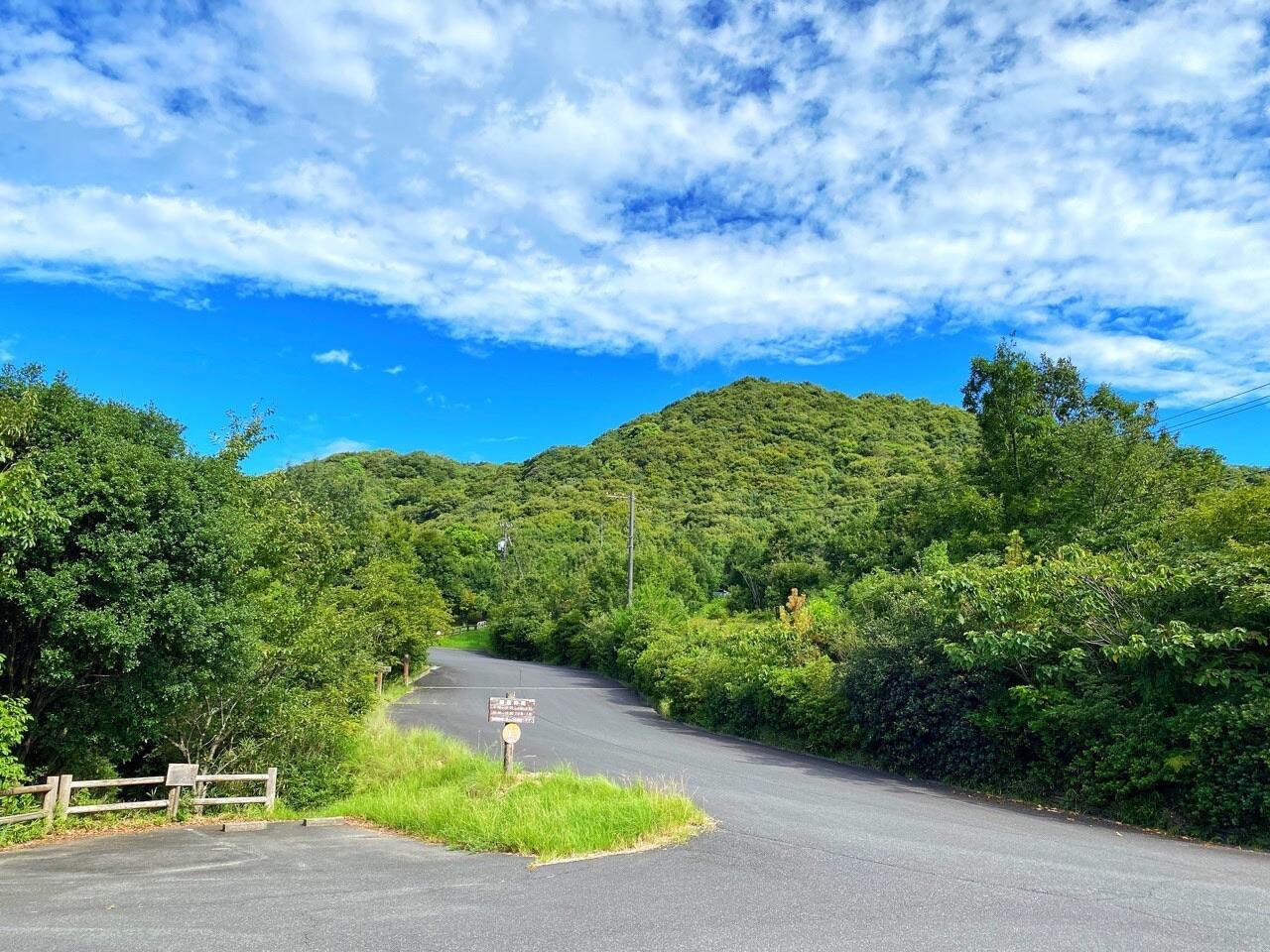 2023-08-30美しい森〜種松山 / tomyさんの鴨ヶ辻山の活動データ | YAMAP / ヤマップ