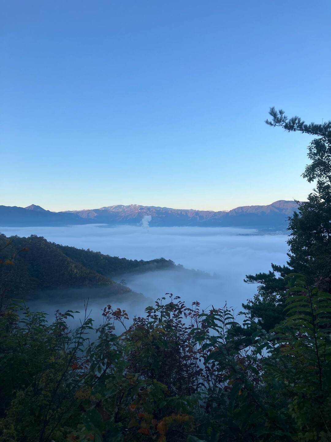 坂戸山 / KJさんの坂戸山の活動日記 | YAMAP / ヤマップ