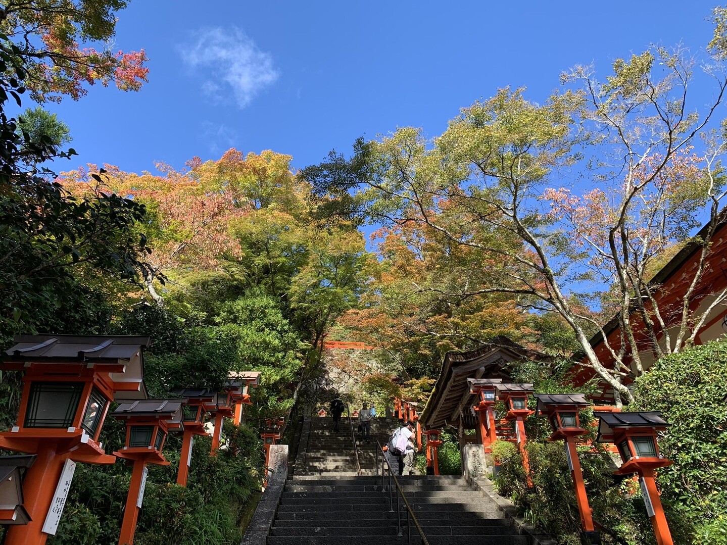 天狗👺に会いに…貴船山・鞍馬寺 / M_Akkyさんの貴船山・鞍馬山の活動データ | YAMAP / ヤマップ