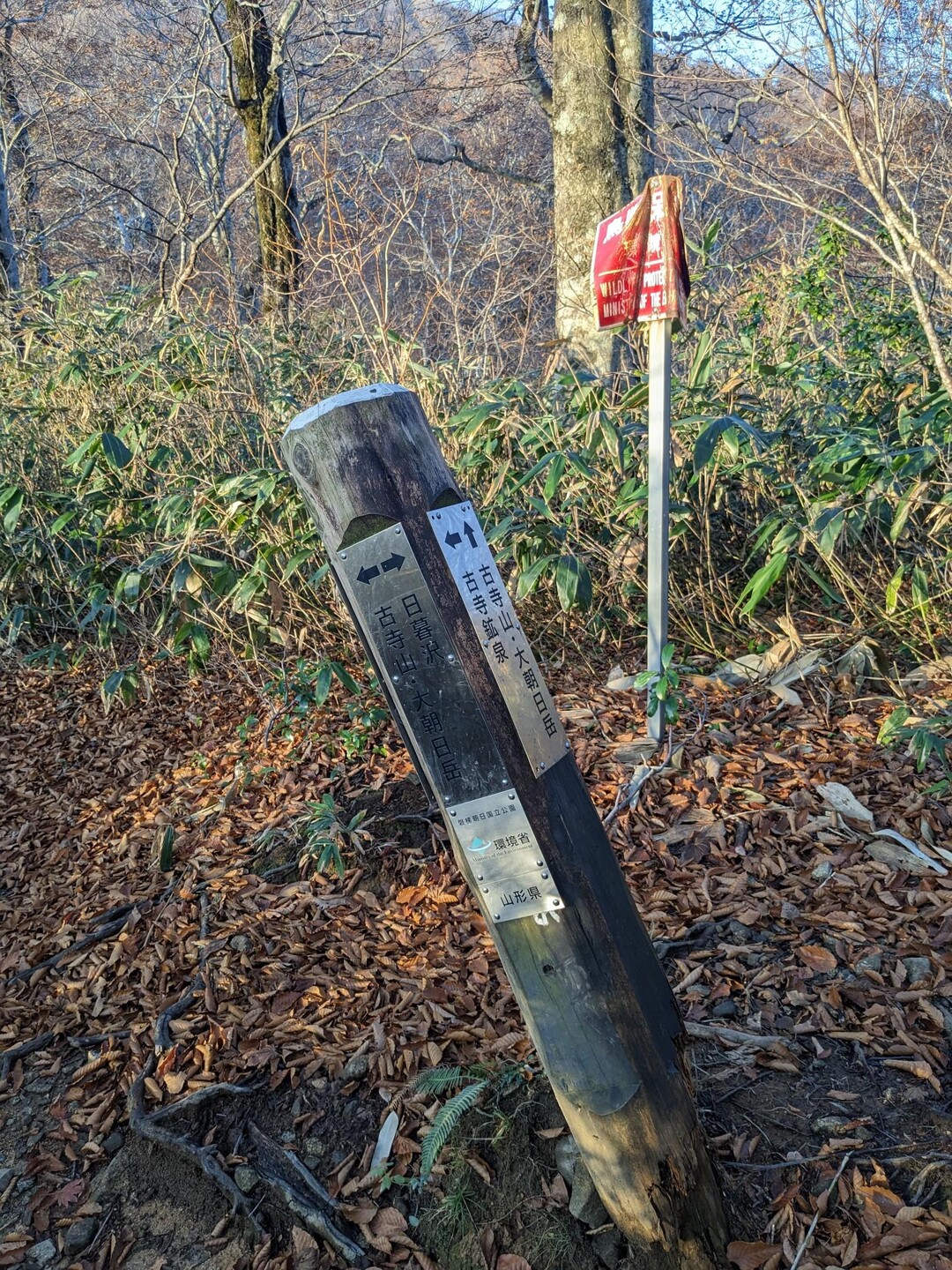 souさんの投稿したフィールドメモ | YAMAP / ヤマップ