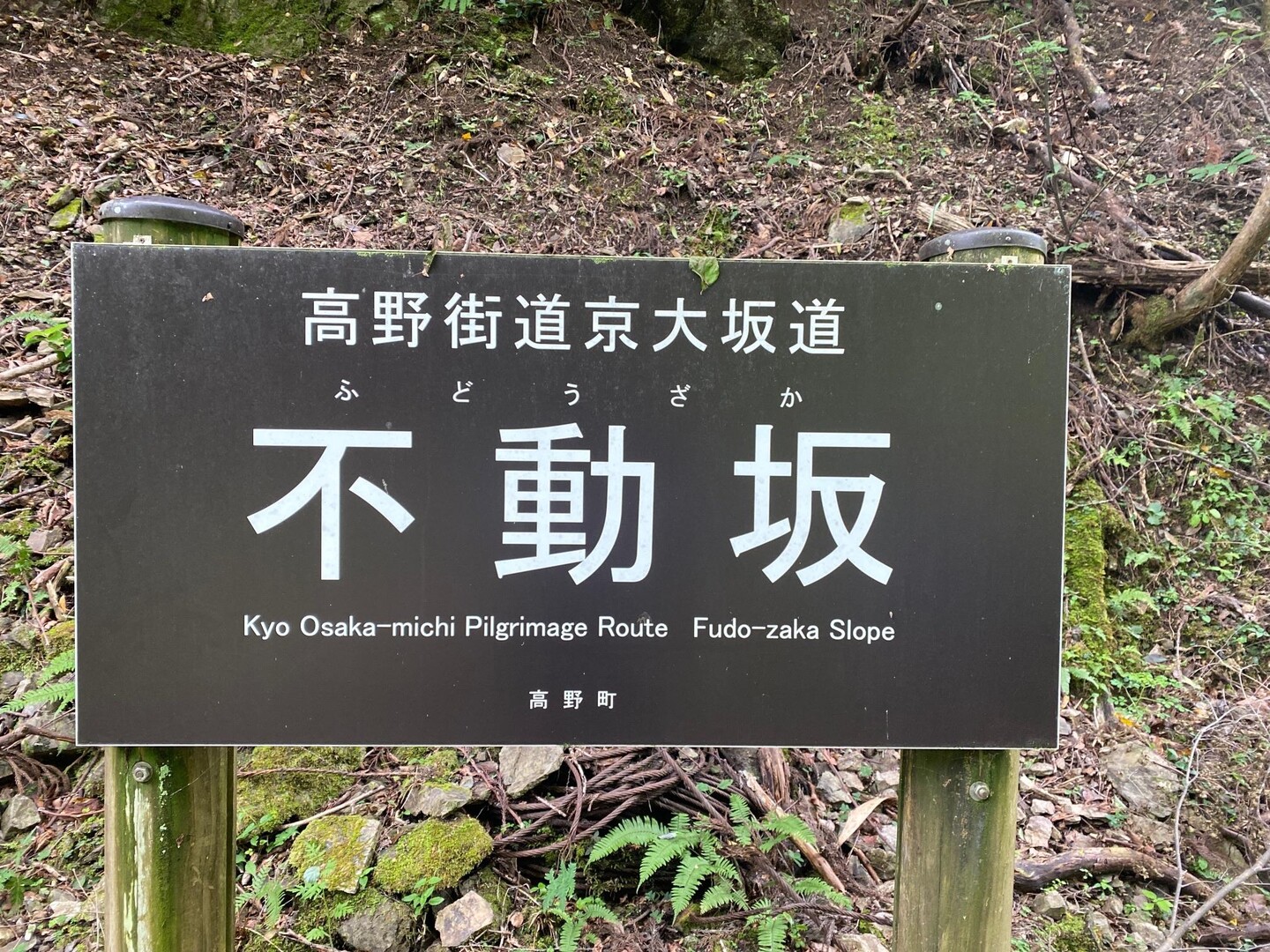 高野参詣道（高野山・楊柳山・雨引山）-2023-06-18 / jiro manさんの高野参詣道（高野山・楊柳山・雨引山）の活動データ | YAMAP / ヤマップ