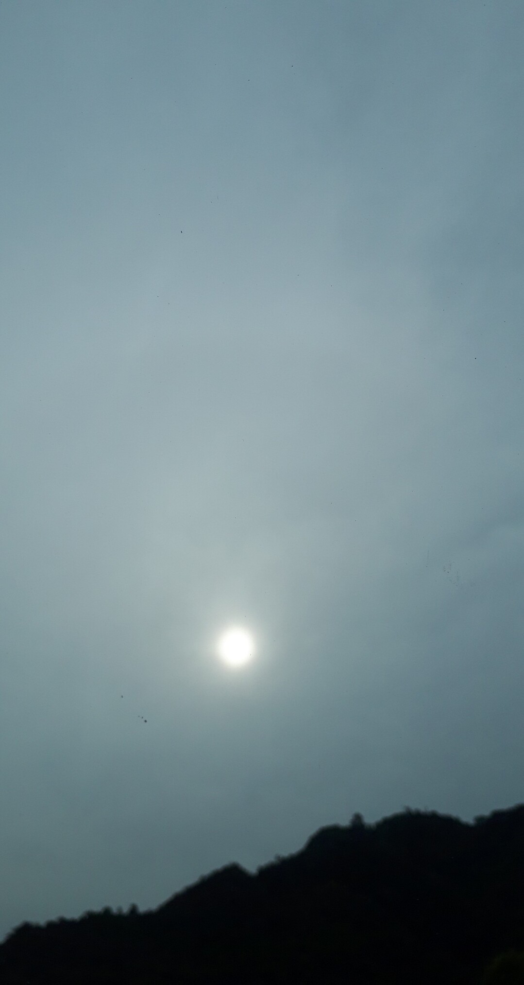 【今日の金華山】 おはようございます ... / ☆•*¨*•.¸¸🧞‍♂️ Genie (ma-2) 🧞‍♂️•*¨*•.¸¸☆さんのモーメント | YAMAP / ヤマップ