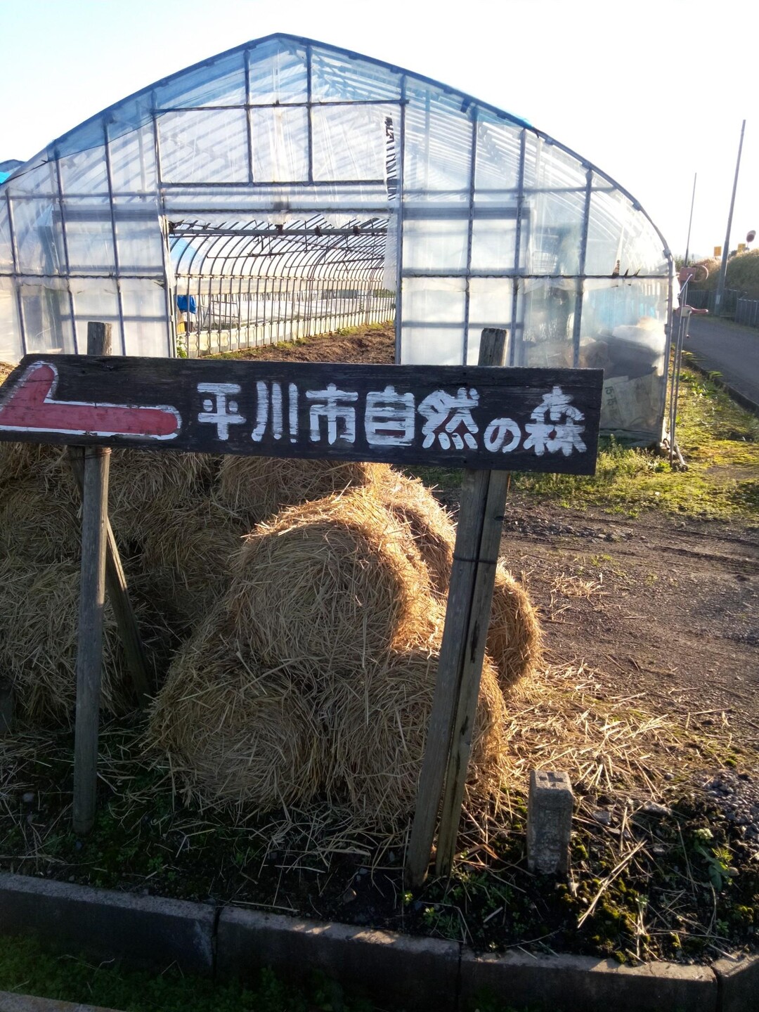 金屋の山-2023-11-19 / katuさんの弘前市の活動データ | YAMAP / ヤマップ