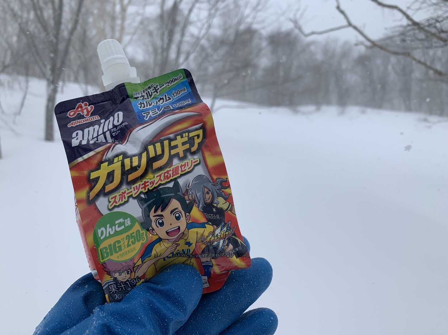 19/20#29 荒天の日わ春香山 / bono.さんの春香山・銭函峠・銭函天狗山の活動データ | YAMAP / ヤマップ