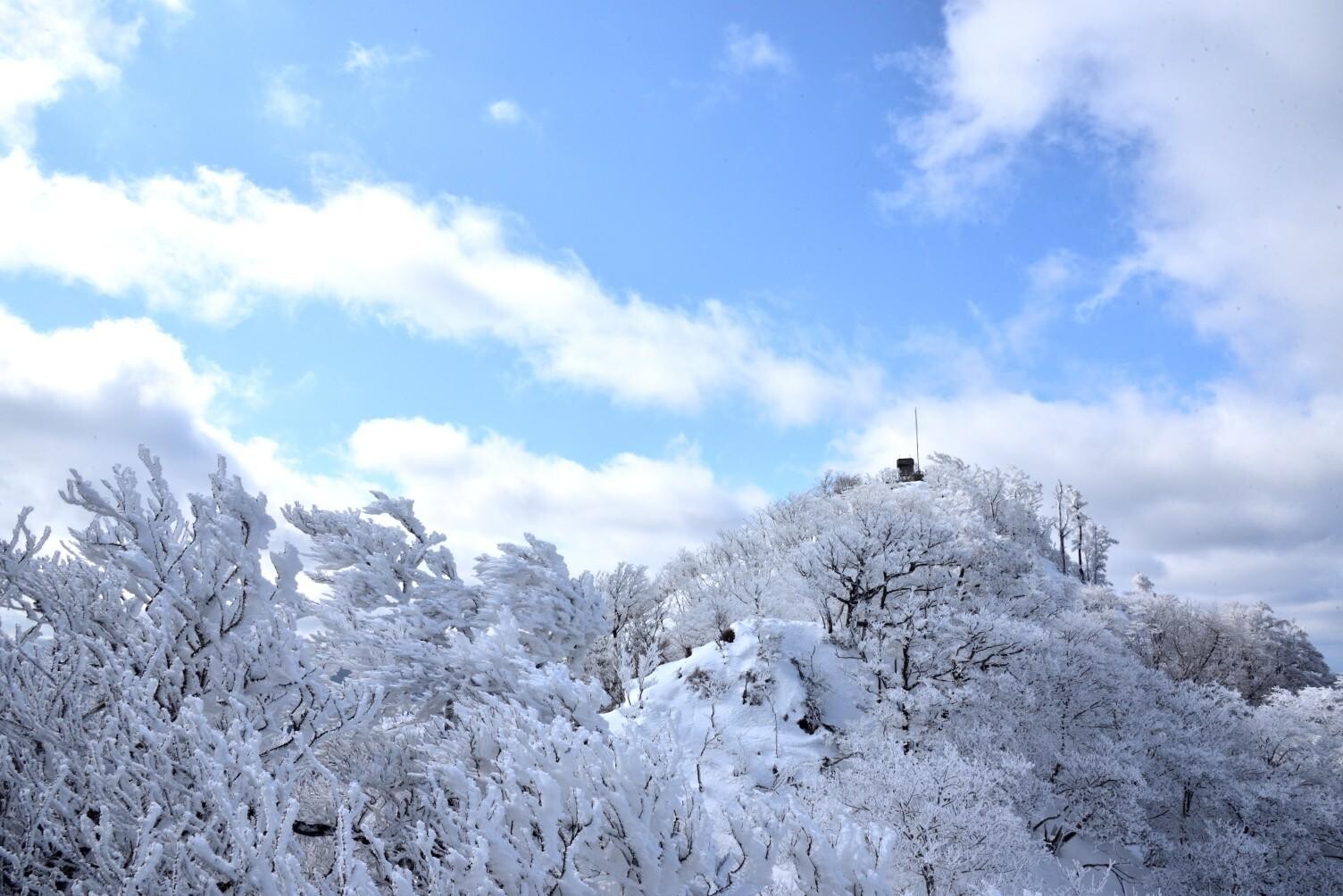 高見山 / ⛅Nori-jiさんの登山の活動データ | YAMAP / ヤマップ