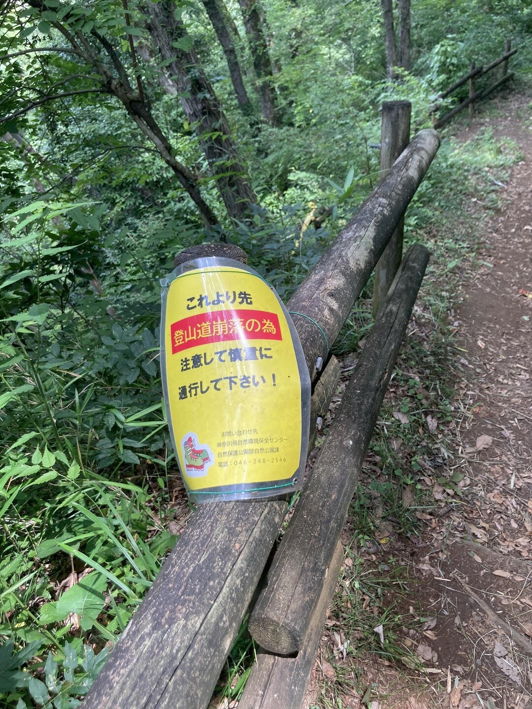 ringさんの投稿したフィールドメモ | YAMAP / ヤマップ