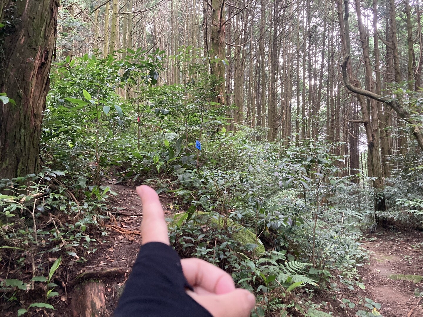 のっくさんの投稿したフィールドメモ | YAMAP / ヤマップ