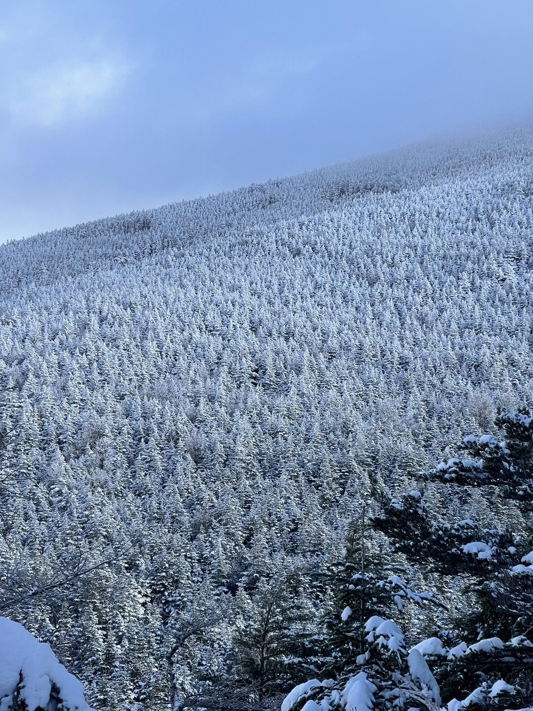 車坂山・槍ヶ鞘・トーミの頭・黒斑山 / marioさんの浅間山・黒斑山・篭ノ登山の活動データ | YAMAP / ヤマップ