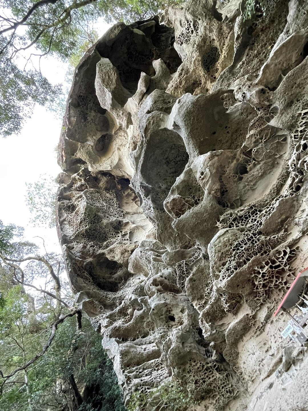 双石山 / siopanさんの双石山・花切山・岩壺山の活動データ | YAMAP / ヤマップ