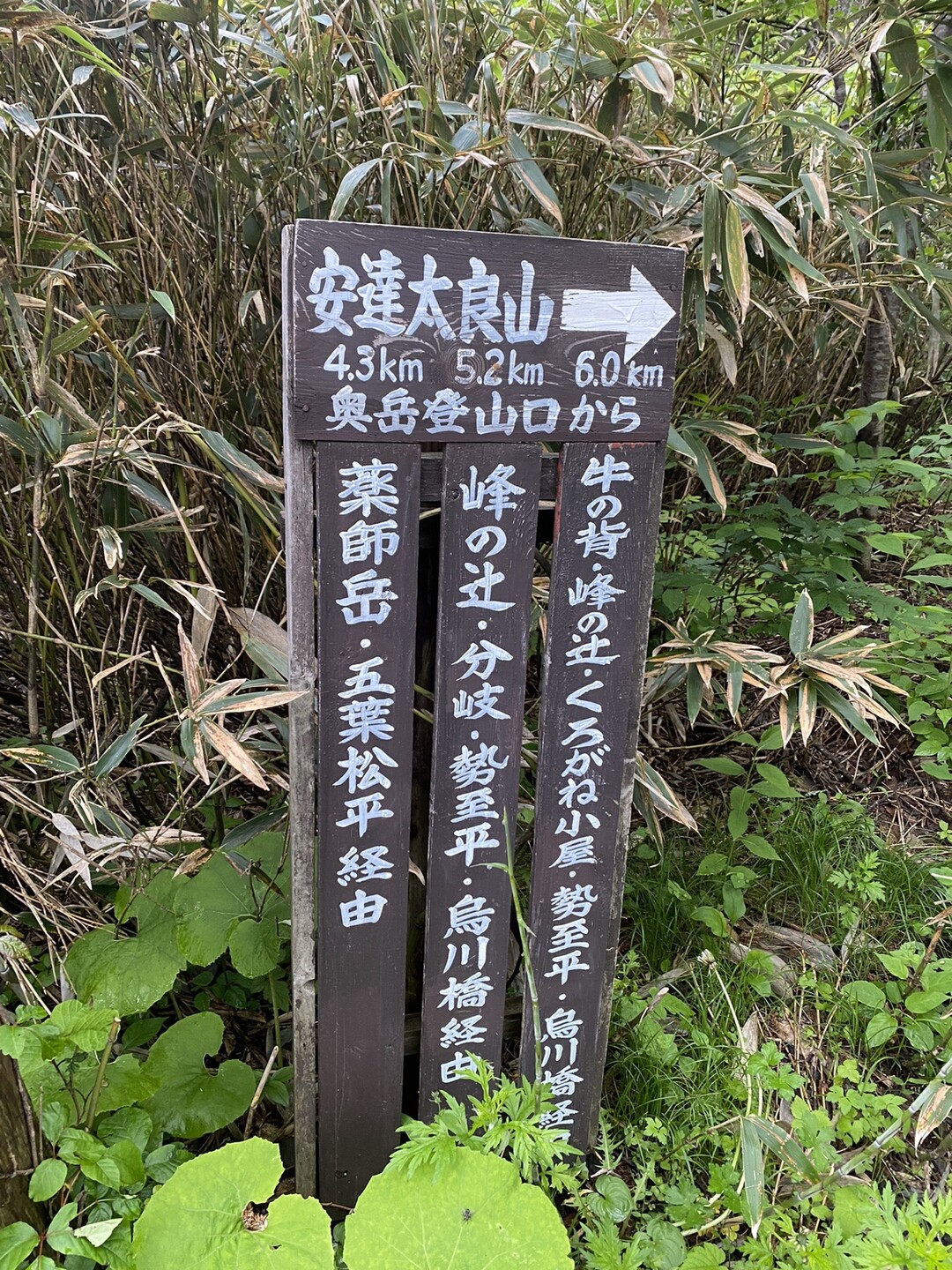 2022／6／12福島県あだたら山⛰行っ... / 🍀🍀🍀🧡チャンちゃん🤝 ️さんのモーメント | YAMAP / ヤマップ