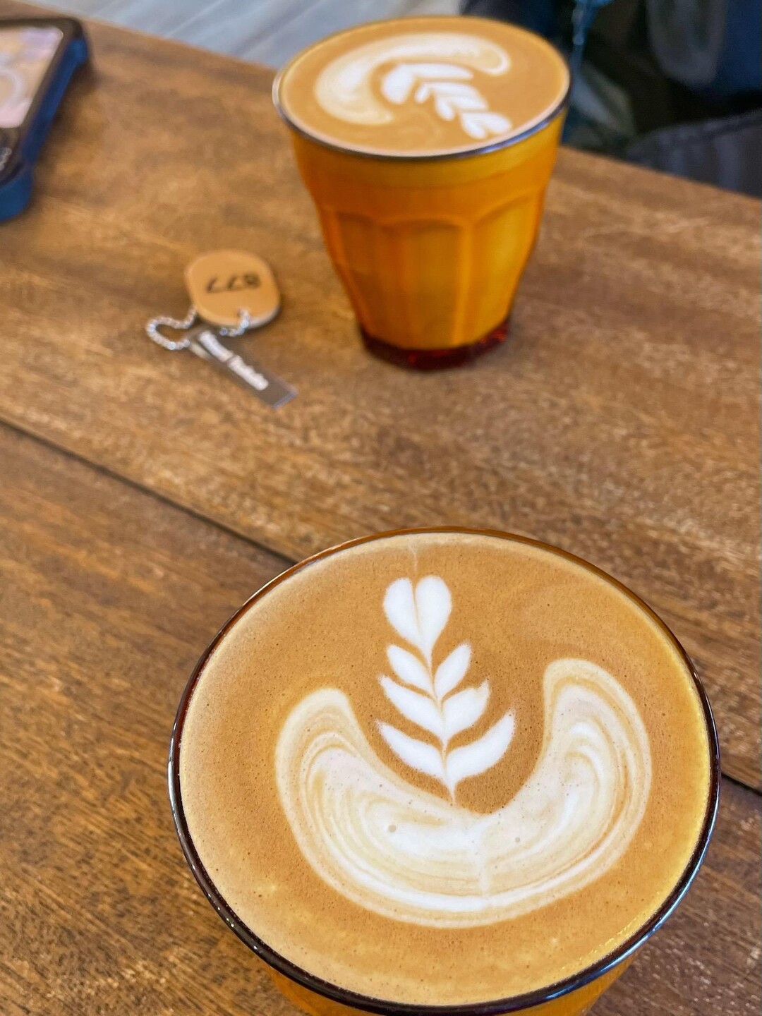 Mt.Tsukuba 2024.11.24 / machanさんの筑波山の活動データ | YAMAP / ヤマップ