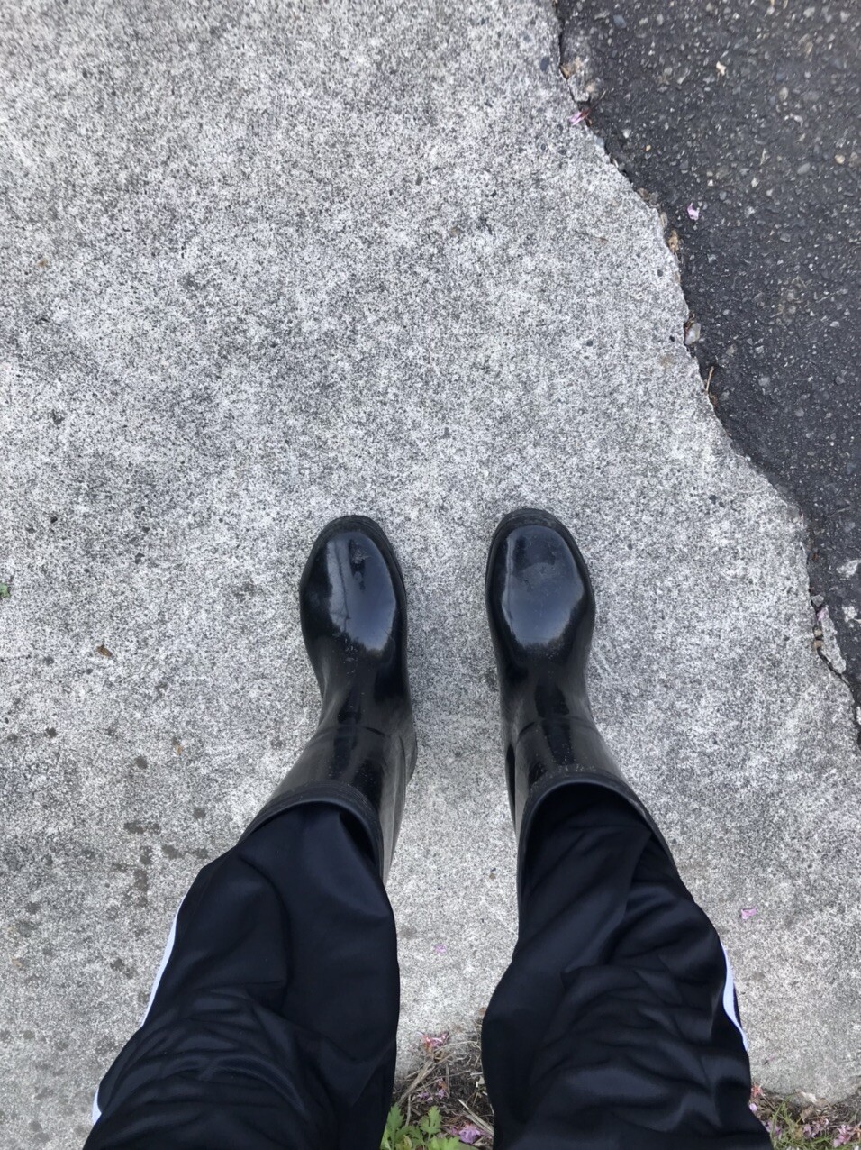 daidaiのページ | YAMAP / ヤマップ