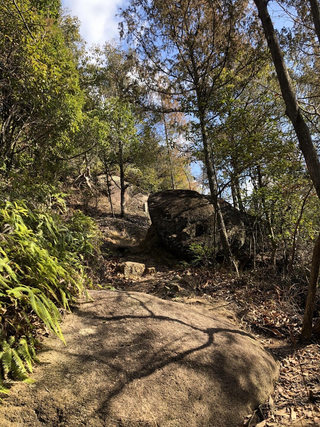 2024.2.12 三田山修験道場ルート... / ポンコツ登山者@さんのモーメント | YAMAP / ヤマップ