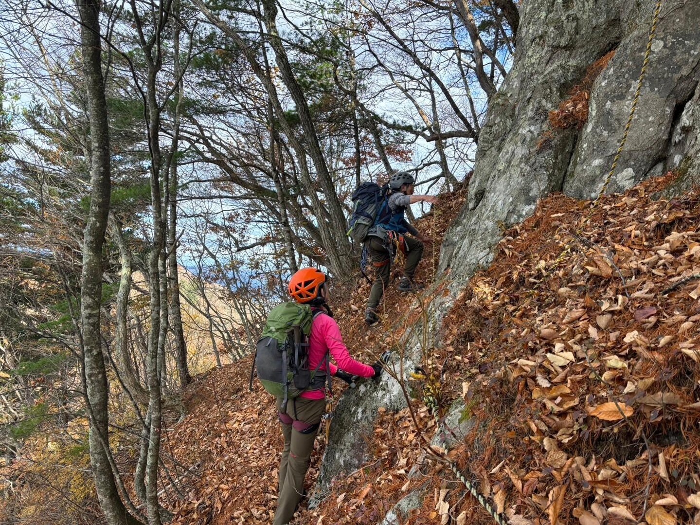 唐倉山&蒲生岳 / Tamamizuさんの唐倉山の活動データ | YAMAP / ヤマップ