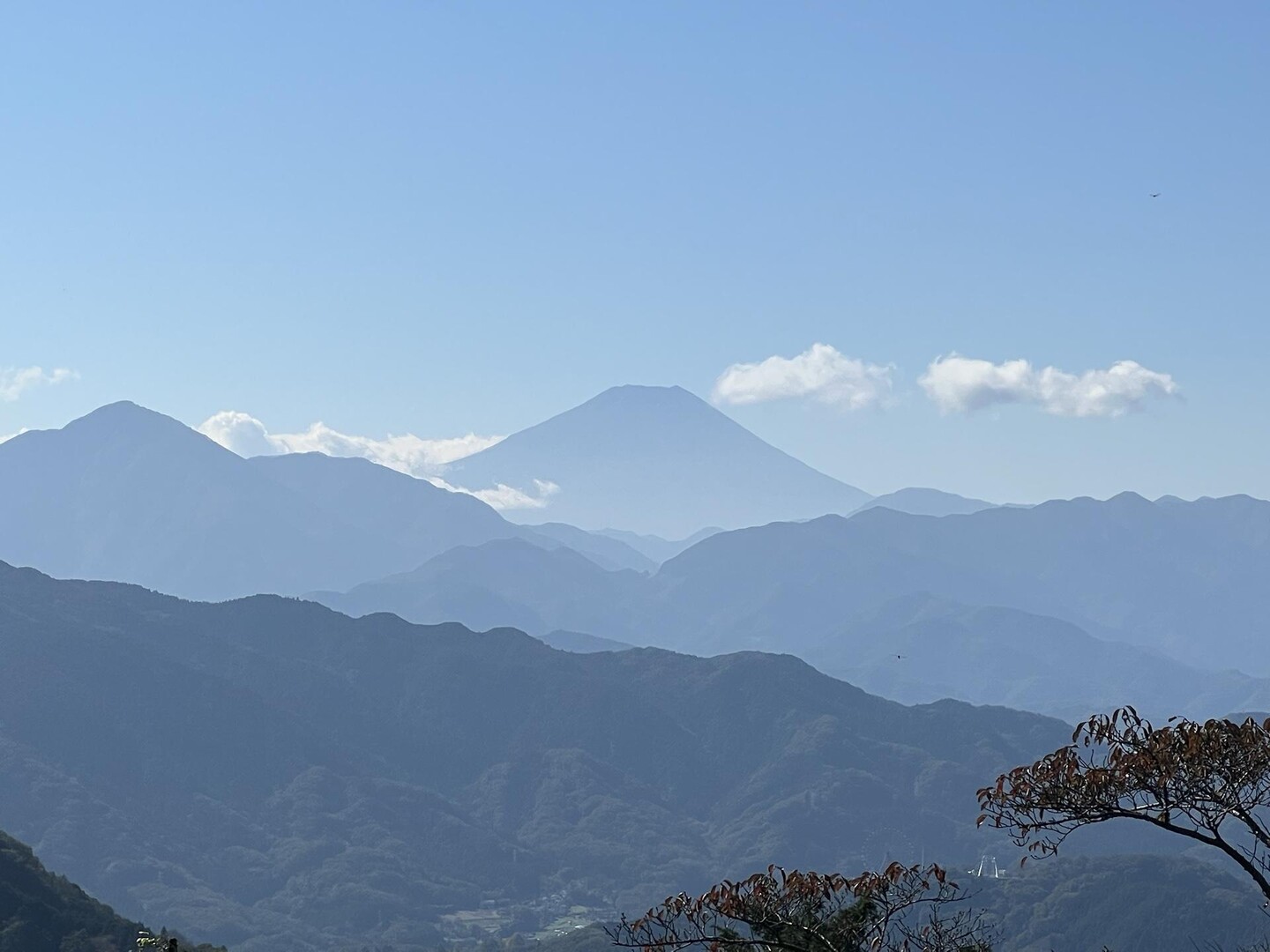 高尾山 / SK-MATさんのウォーキングの活動データ | YAMAP / ヤマップ
