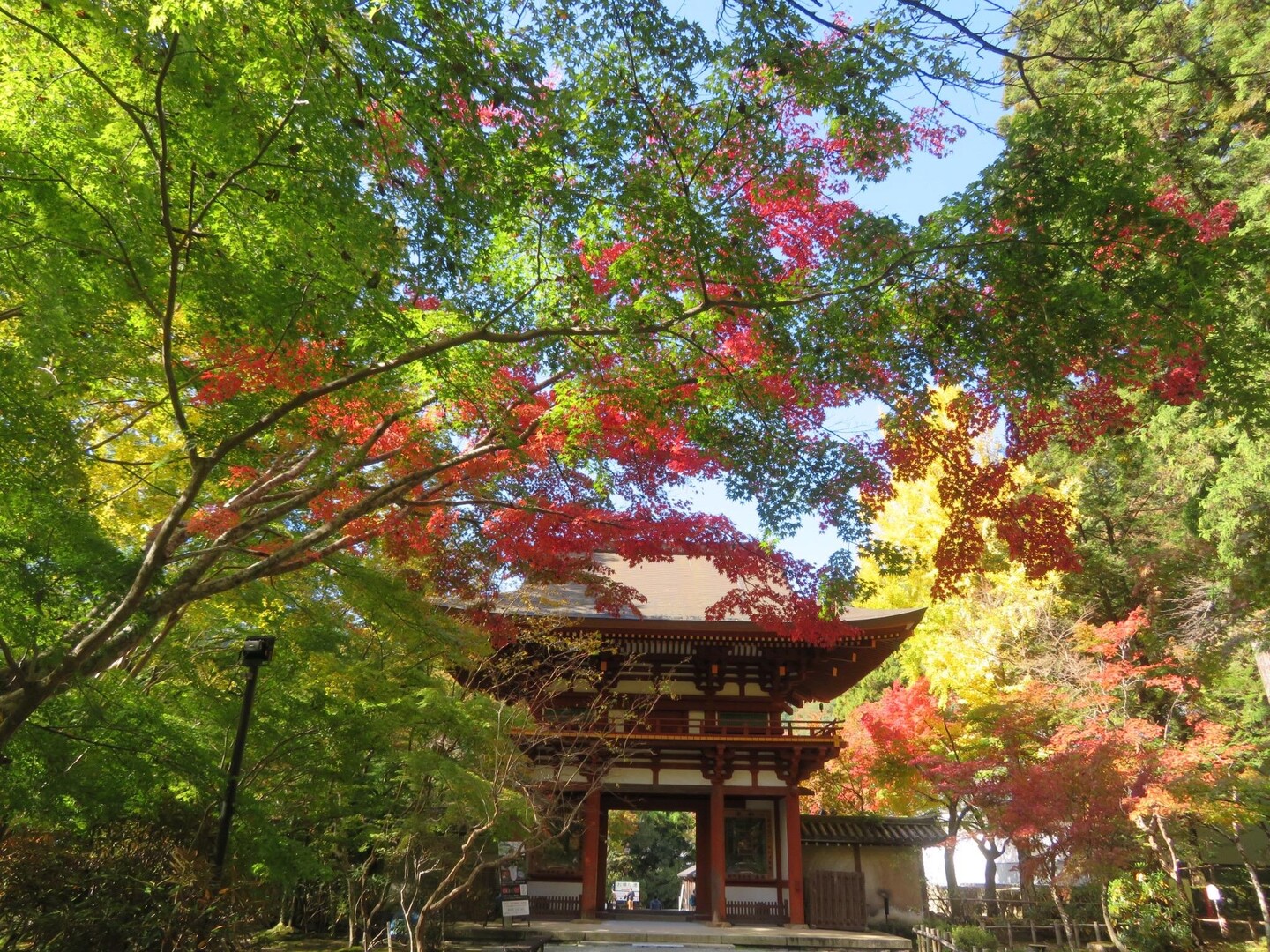 室生龍穴神社と室生寺（室生山） / emuさんの三郎岳・高城岳の活動データ | YAMAP / ヤマップ