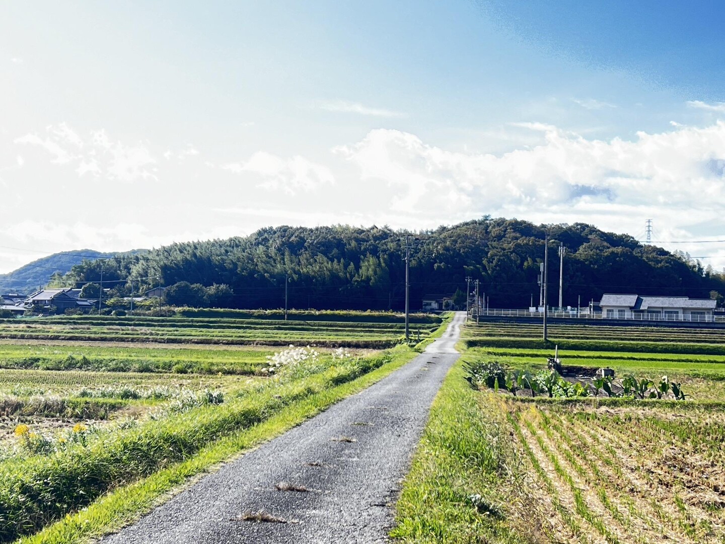 四等三角点 東志方 / idasさんの小野アルプス（紅山・惣山）の活動データ | YAMAP / ヤマップ