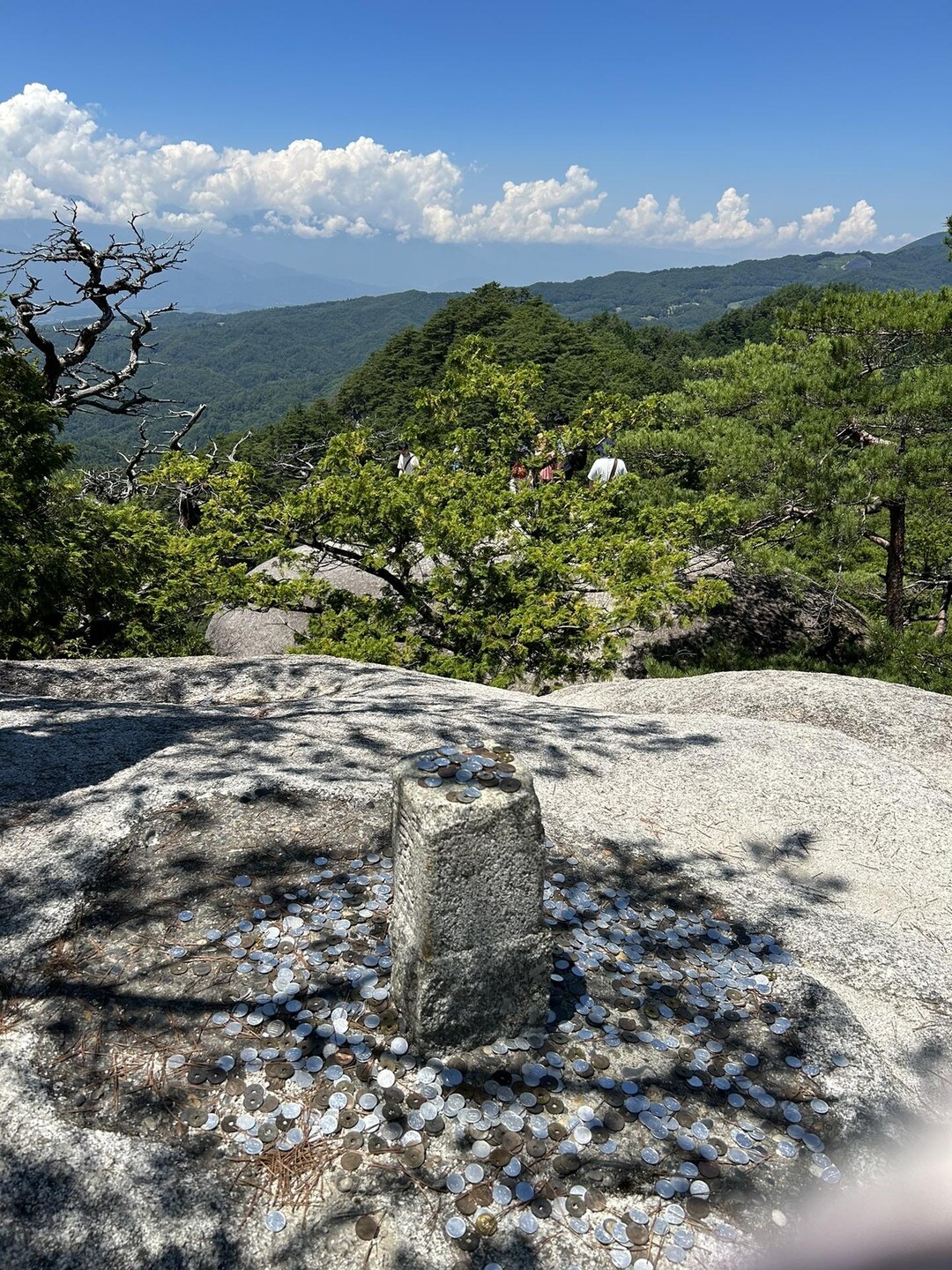 弥三郎岳（羅漢寺山）と昇仙峡 / fumi 🍇さんの弥三郎岳（羅漢寺山）の活動データ | YAMAP / ヤマップ