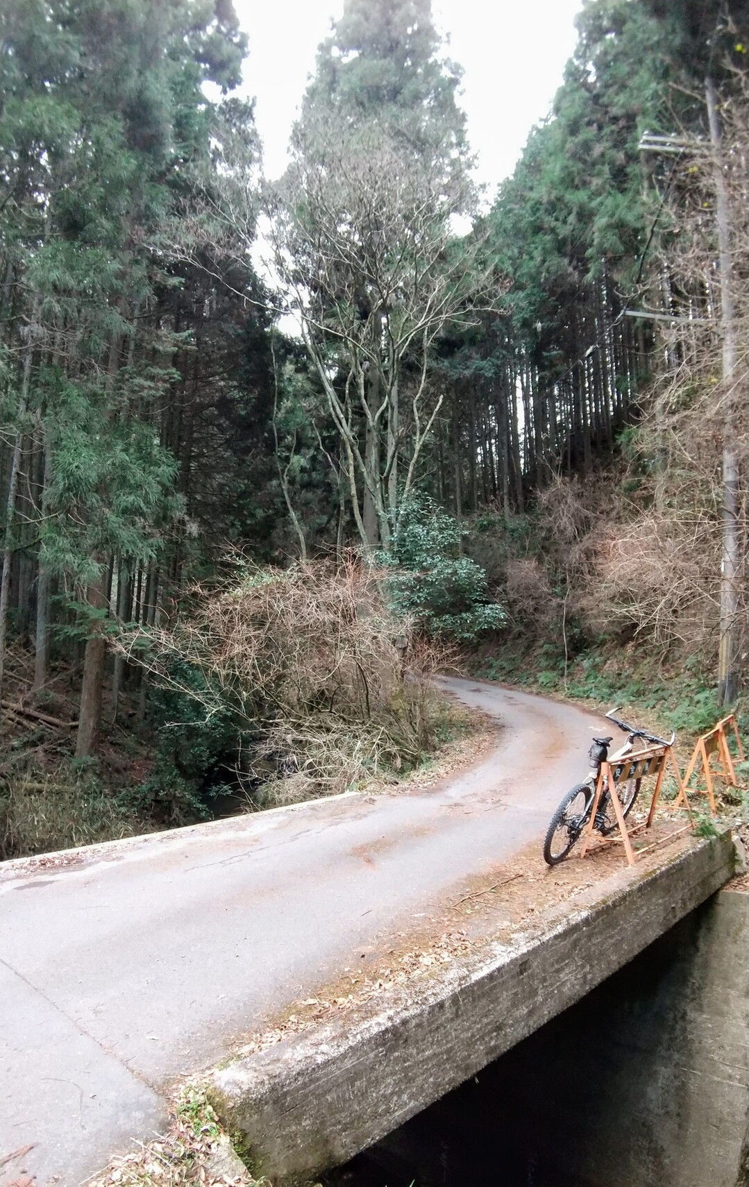 This time last-night... / 'theoutdoorholic'さんのモーメント | YAMAP / ヤマップ