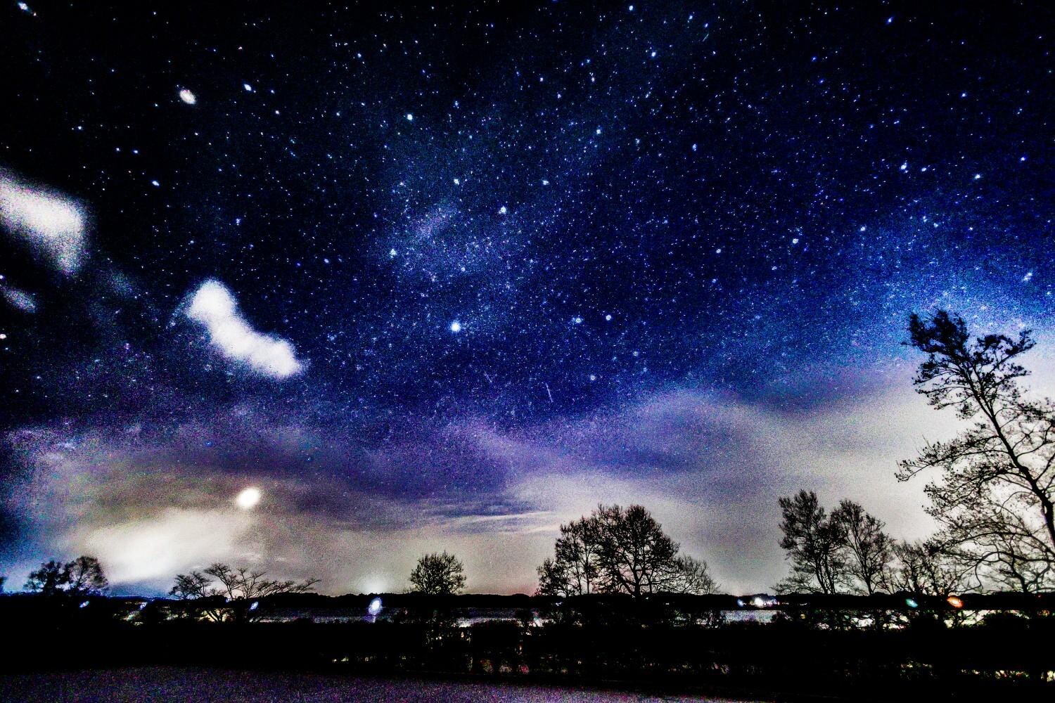 仙台の「イルミネーション＝光のぺーシェン... / パパはTonyさんのモーメント | YAMAP / ヤマップ