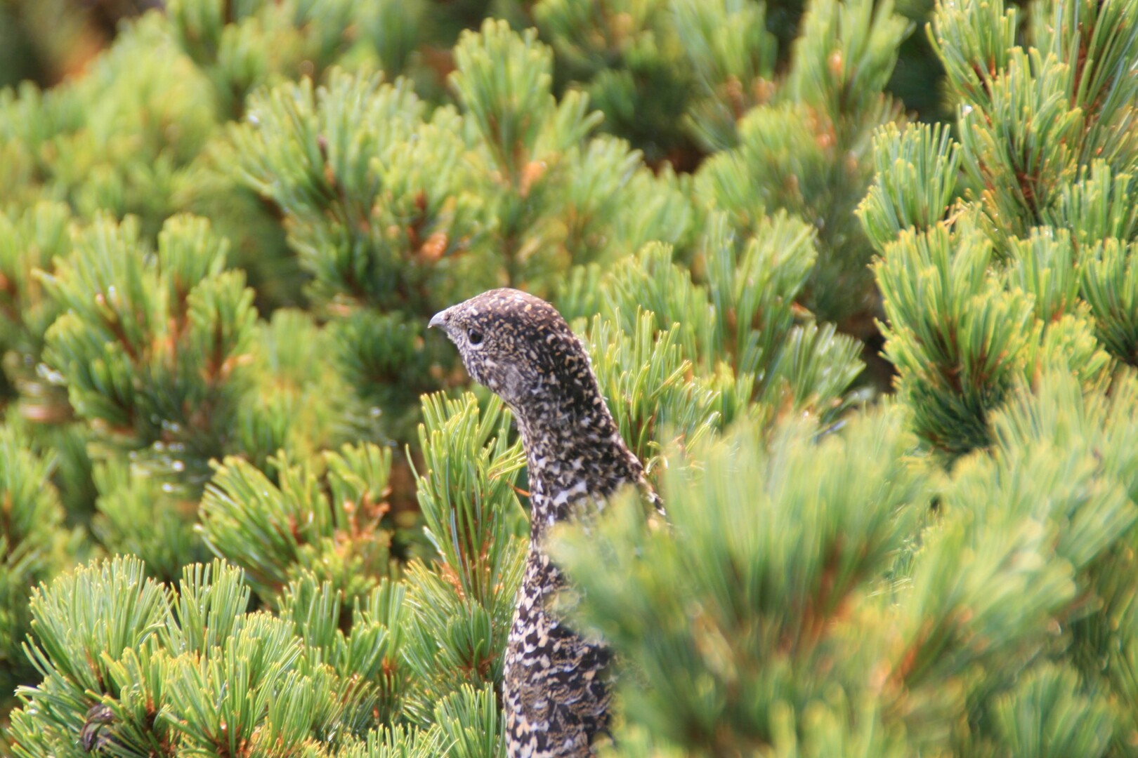 cha-kunのページ | YAMAP / ヤマップ